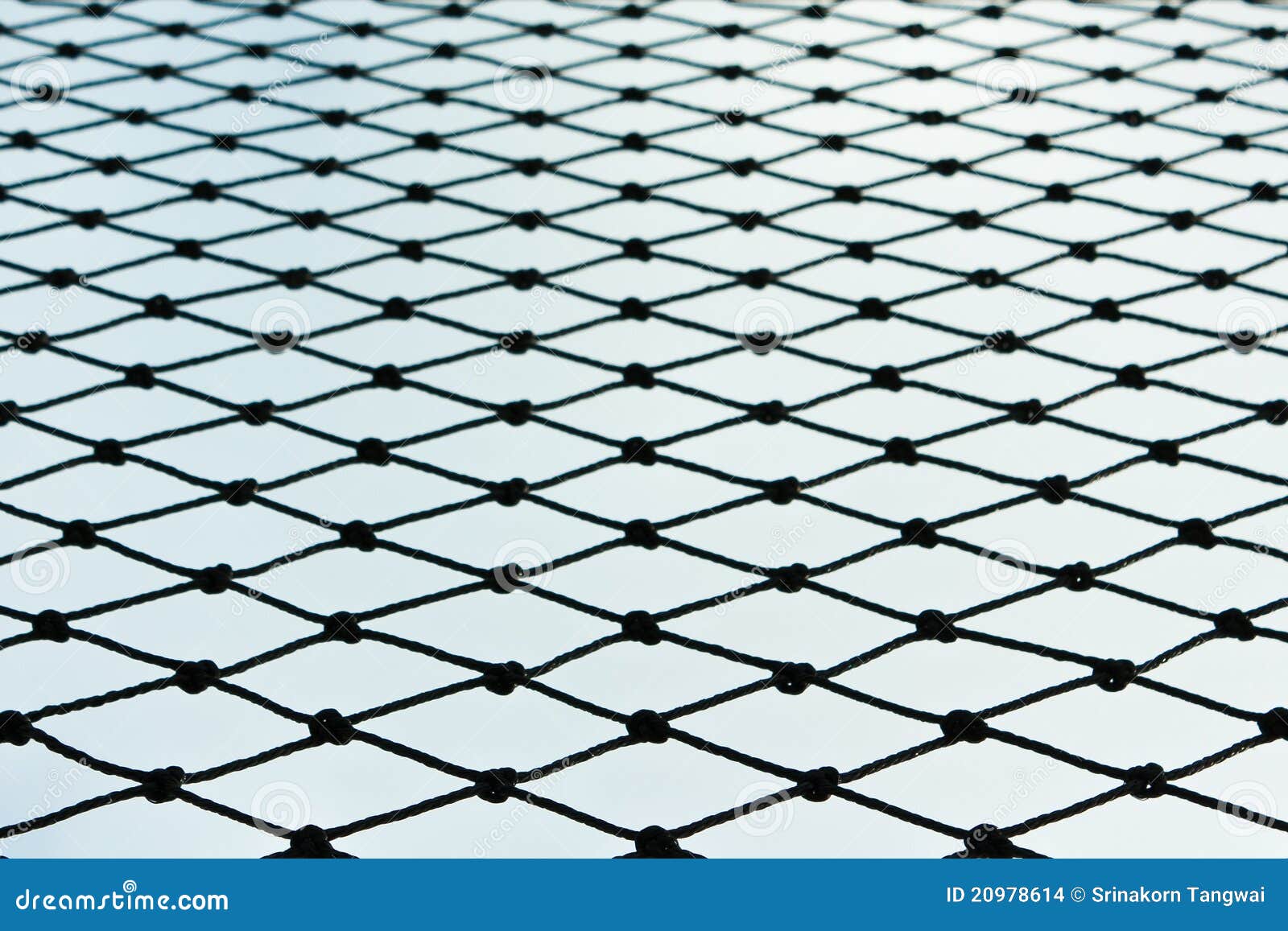 Net stock photo. Image of delicate, backdrop, close, weaving - 20978614