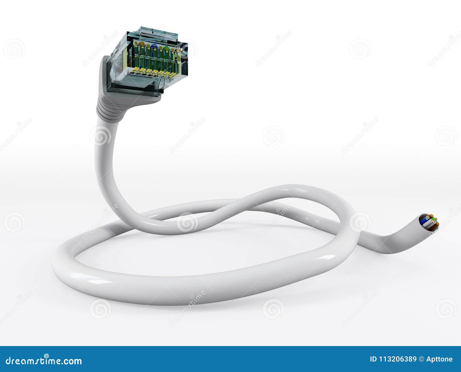 Net Cable. Macro Shot of Network Connection Plug. LAN Network ...