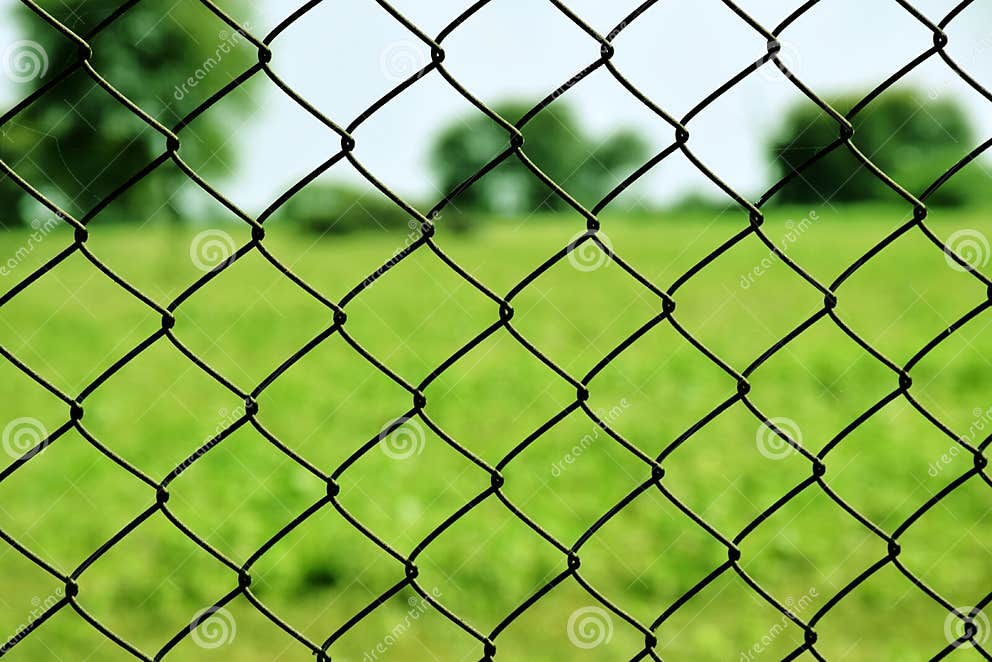 Net Compound Wall of Garden Stock Photo - Image of texture, background ...