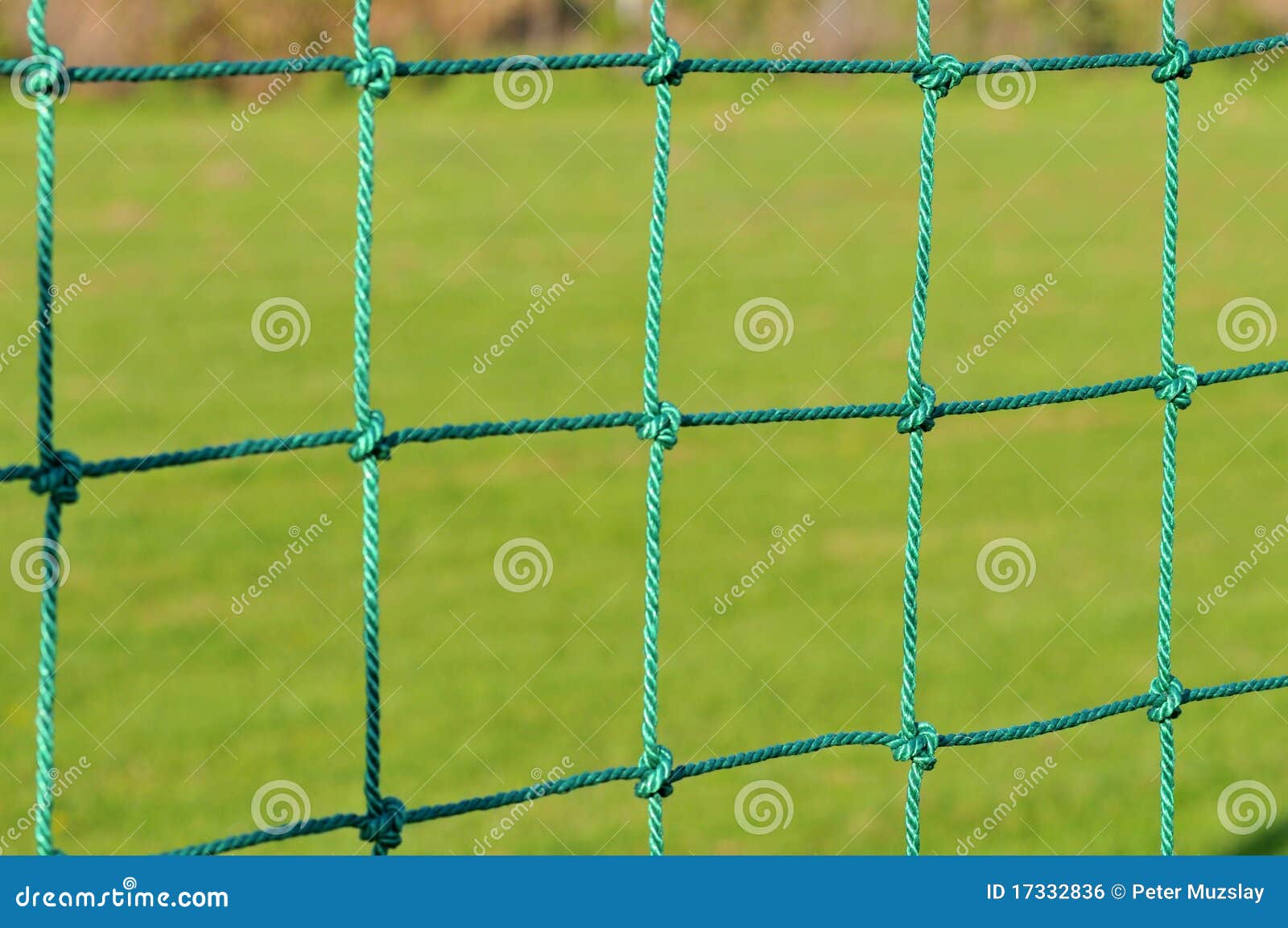 Net with green grass stock photo. Image of abstract, fence - 17332836