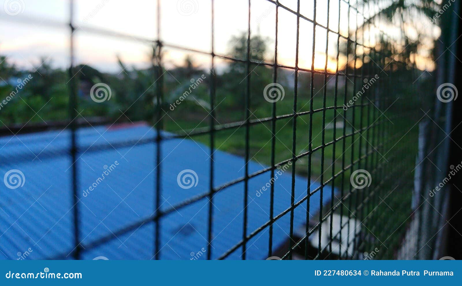 Net line wall afternoon stock photo. Image of fence - 227480634