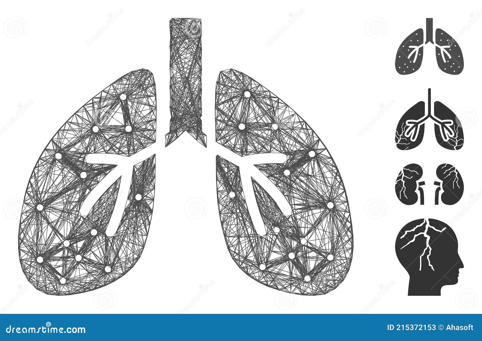 Net Lungs Vector Mesh stock vector. Illustration of healthcare - 215372153