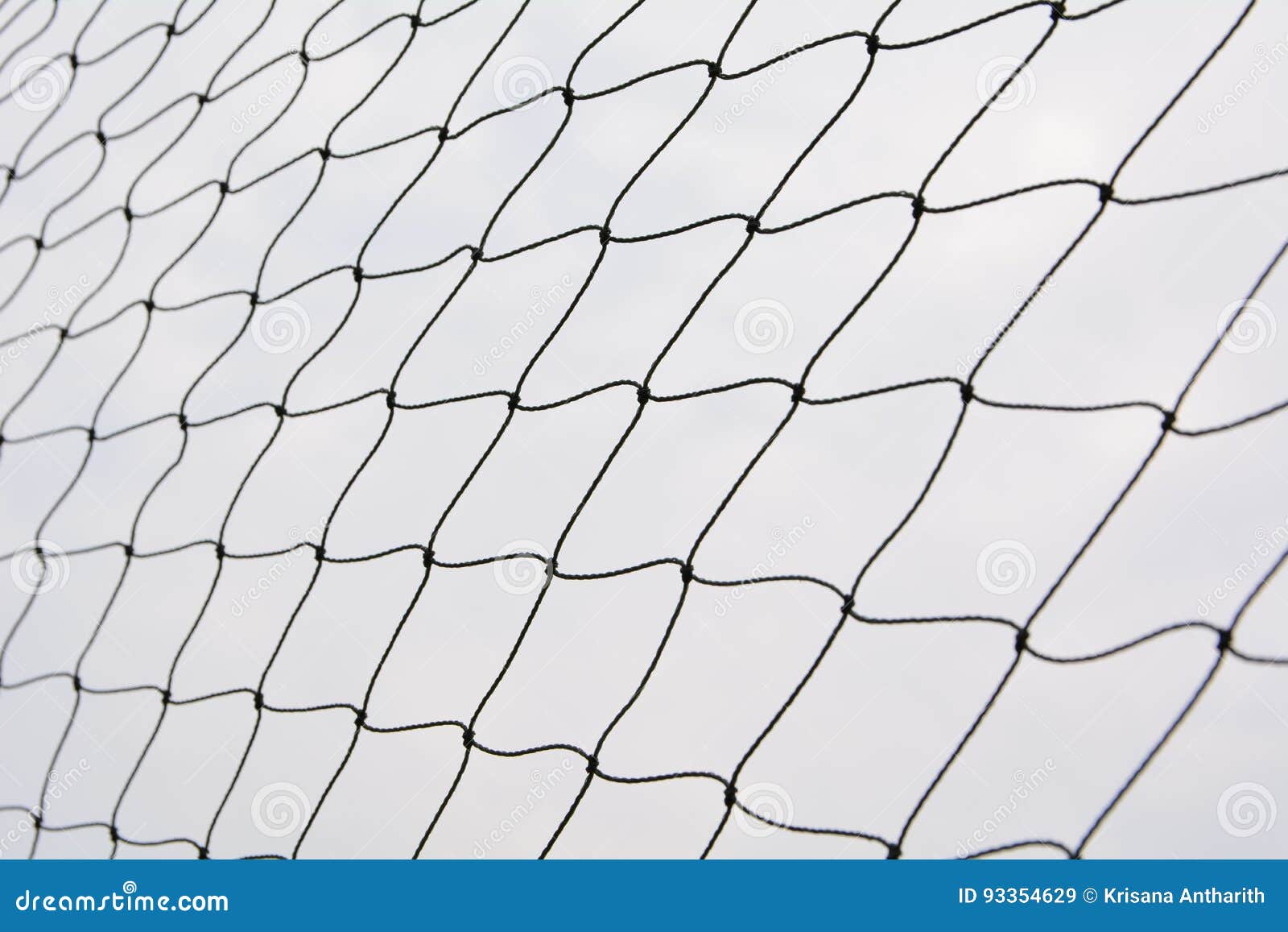Soccer Net Texture Png