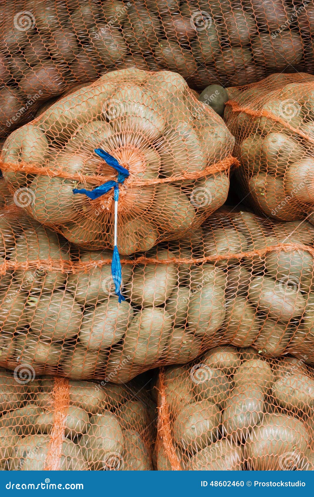 Net Sacks with Potatoes in the Food Store Stock Photo - Image of ...