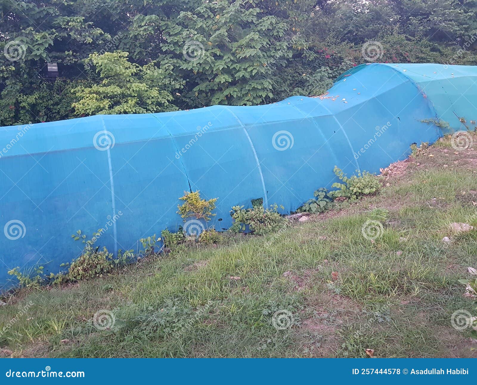 Net for Saving from Mosquito Bites Stock Photo - Image of tent, tree ...