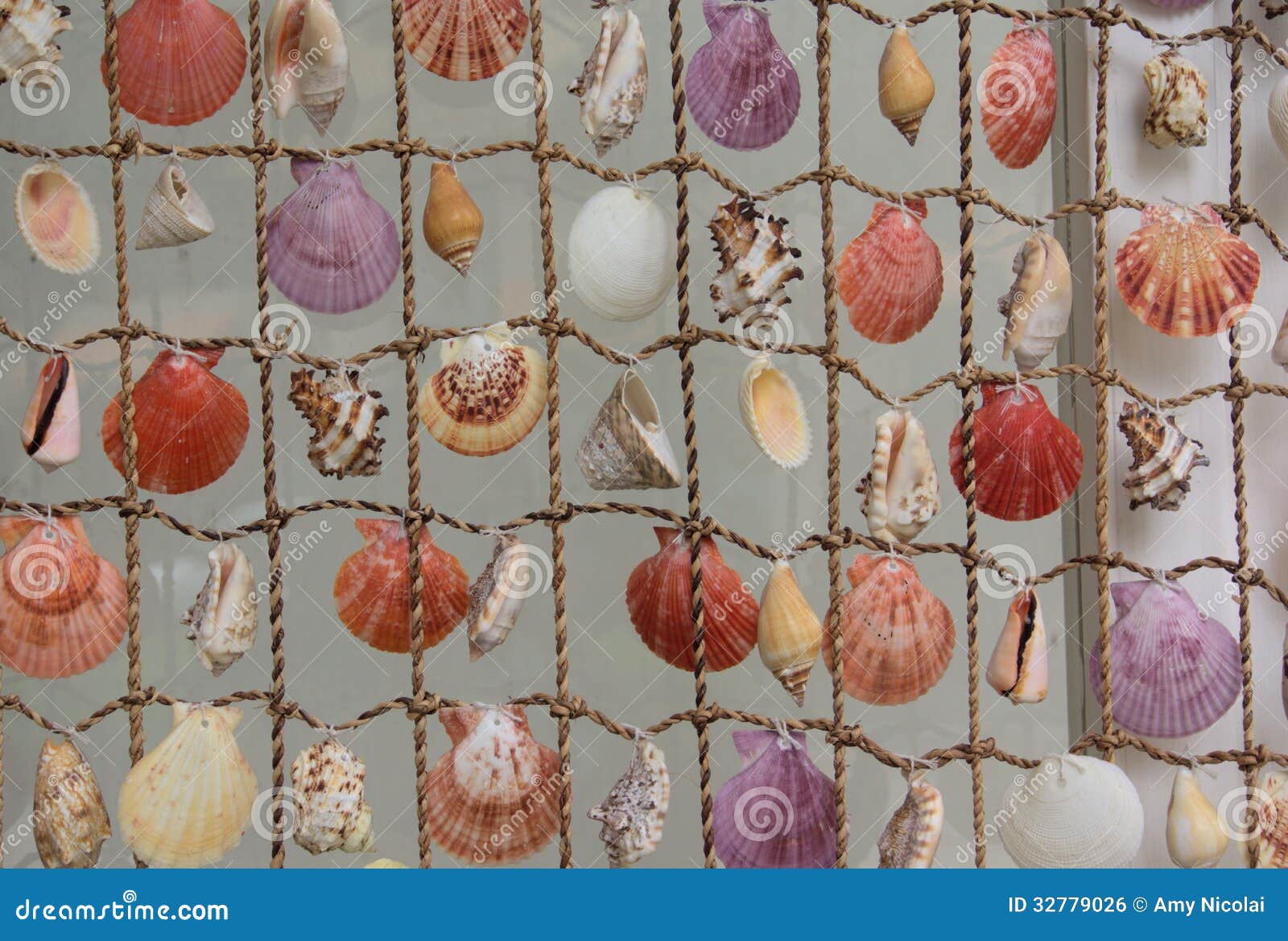 Net with seashells stock photo. Image of lavender, scallop - 32779026