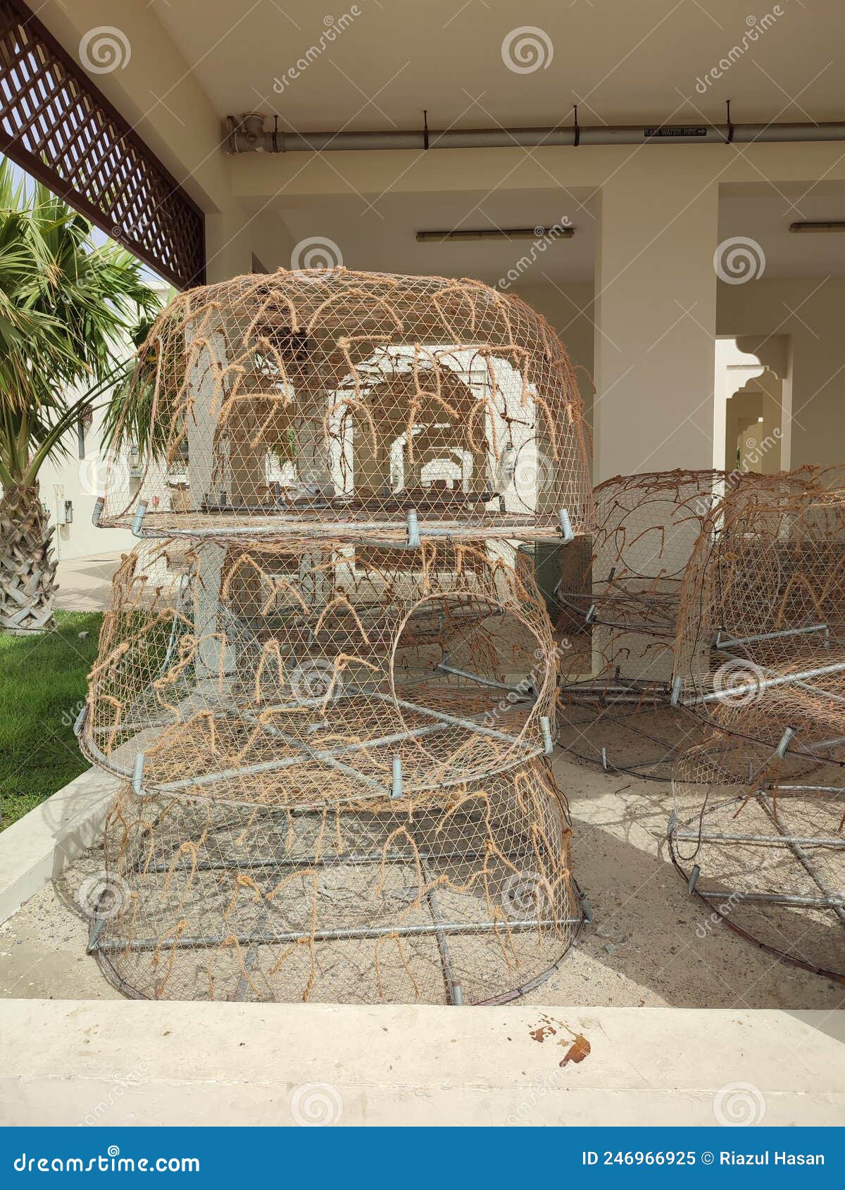 Net To Catch Crabs from Sea Stock Image - Image of fountain, seafood ...