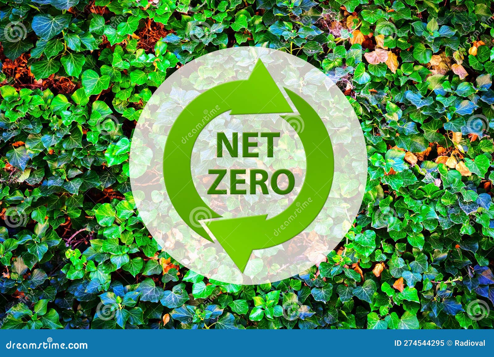 Net Zero, Icon on the Background Green Leaves. Zero Emissions Concept ...