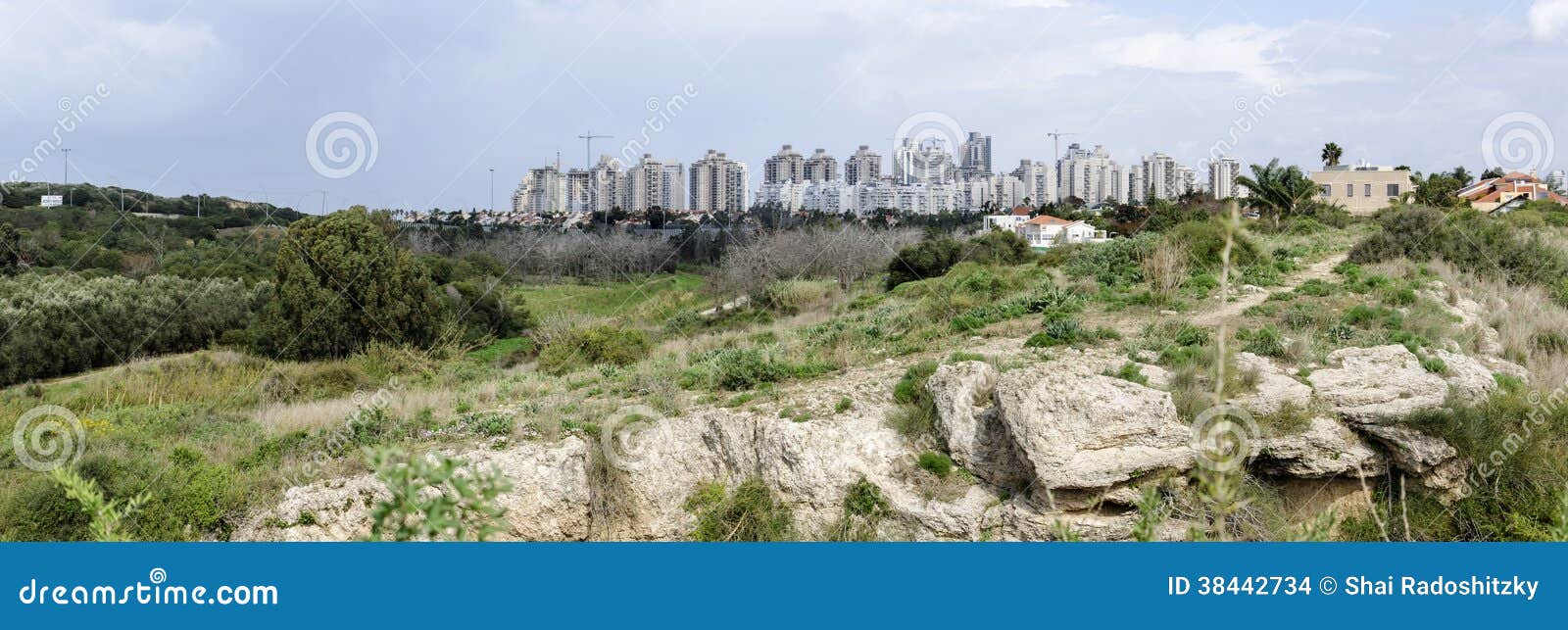 Netanya and Poleg Nature Reserve Stock Photo - Image of trees, colorful ...