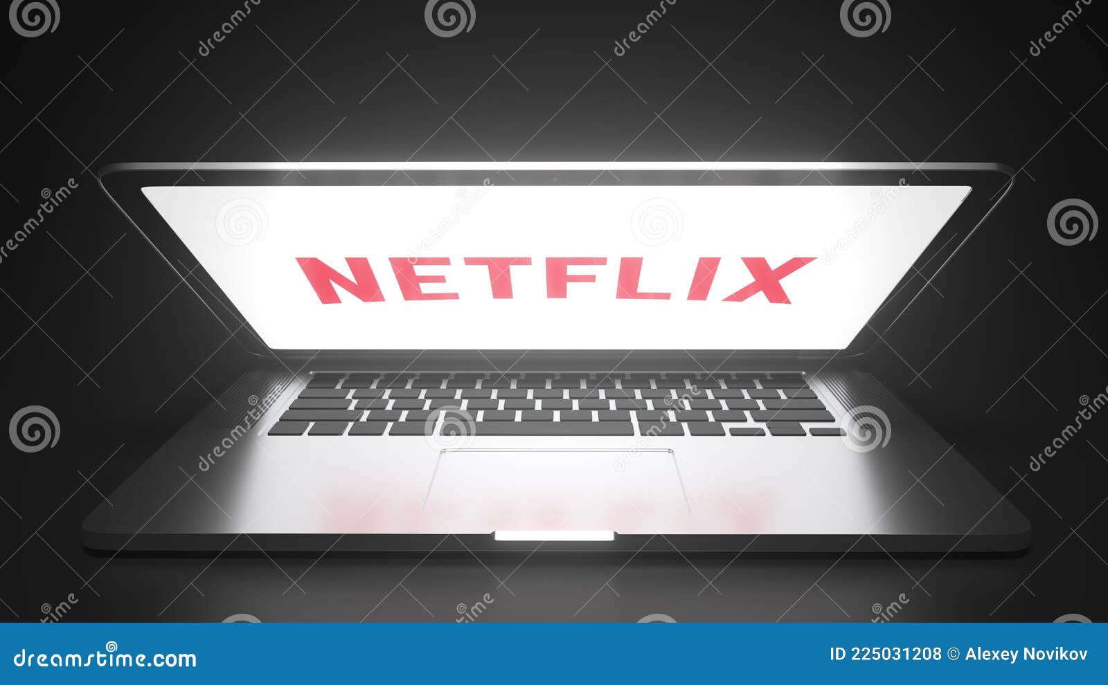 NETFLIX Logo on the Display of a Portable Computer, Editorial ...