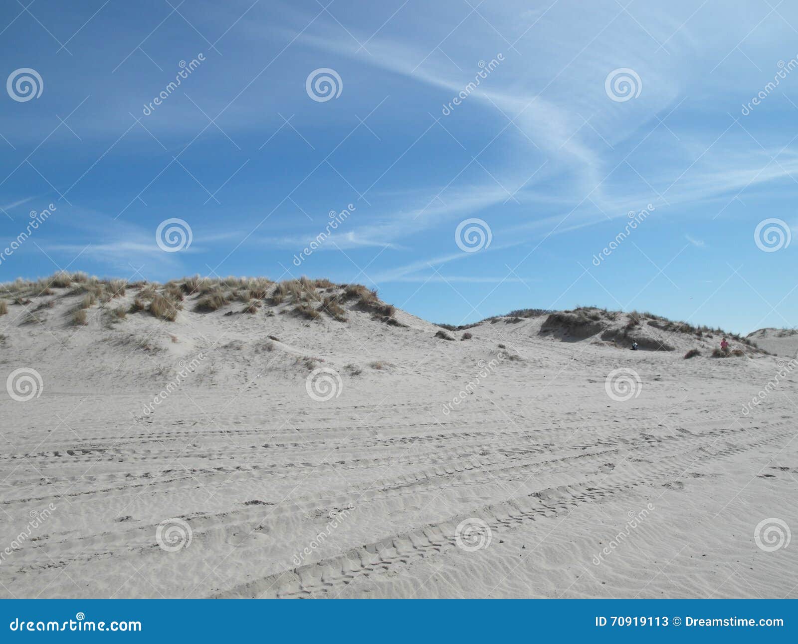 Netherlands dunes stock image. Image of landscape, beach - 70919113