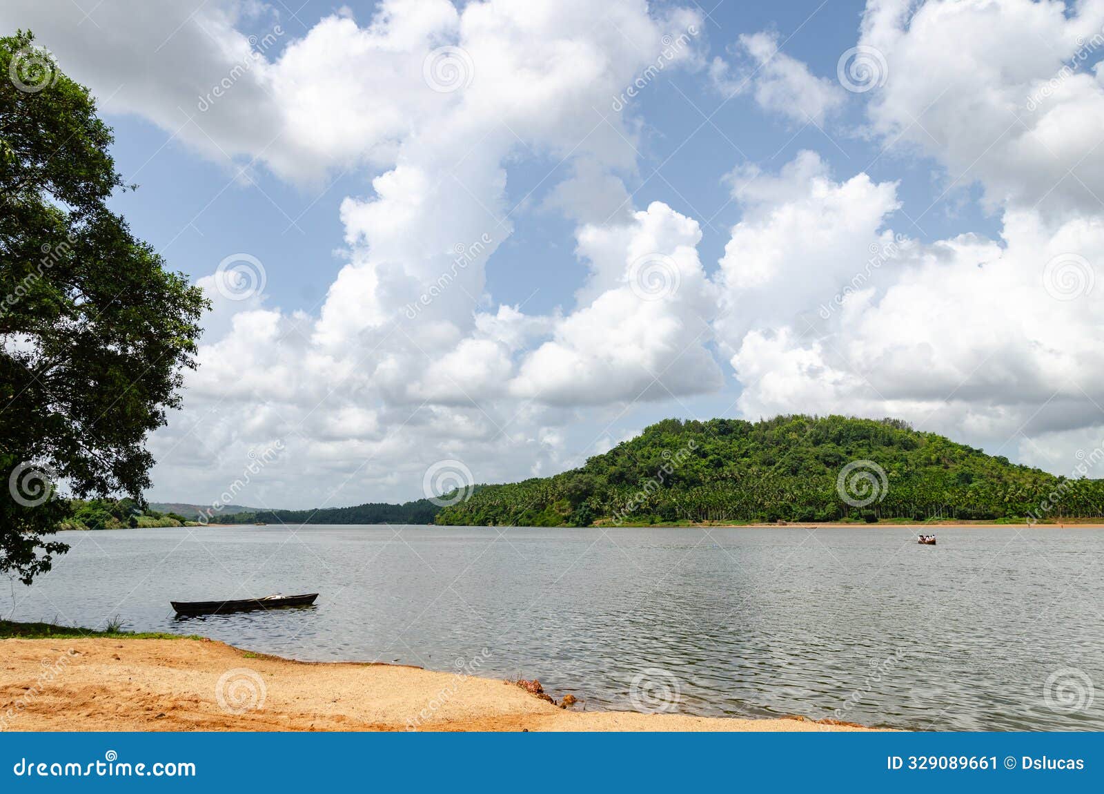 Netravathi River, Mangalore Stock Image - Image of scenery, green ...