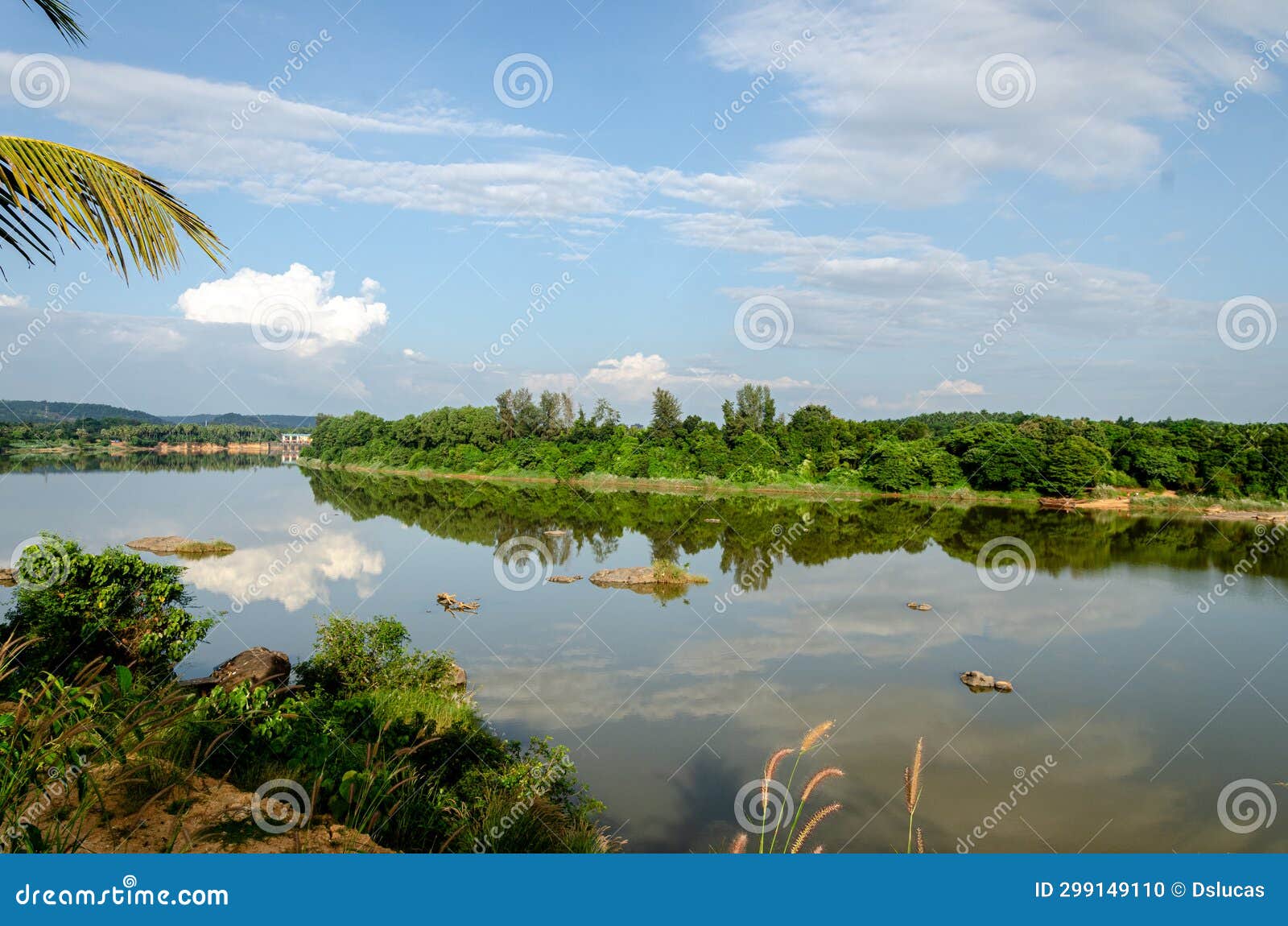Netravati River at Thumbe in Mangalore, India Stock Photo - Image of ...