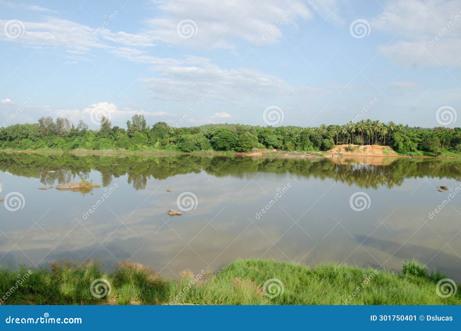 Netravati River at Thumbe in Mangalore, India Stock Image - Image of ...