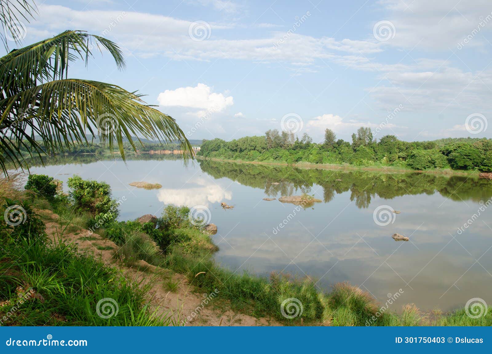 Netravati River at Thumbe in Mangalore, India Stock Image - Image of ...