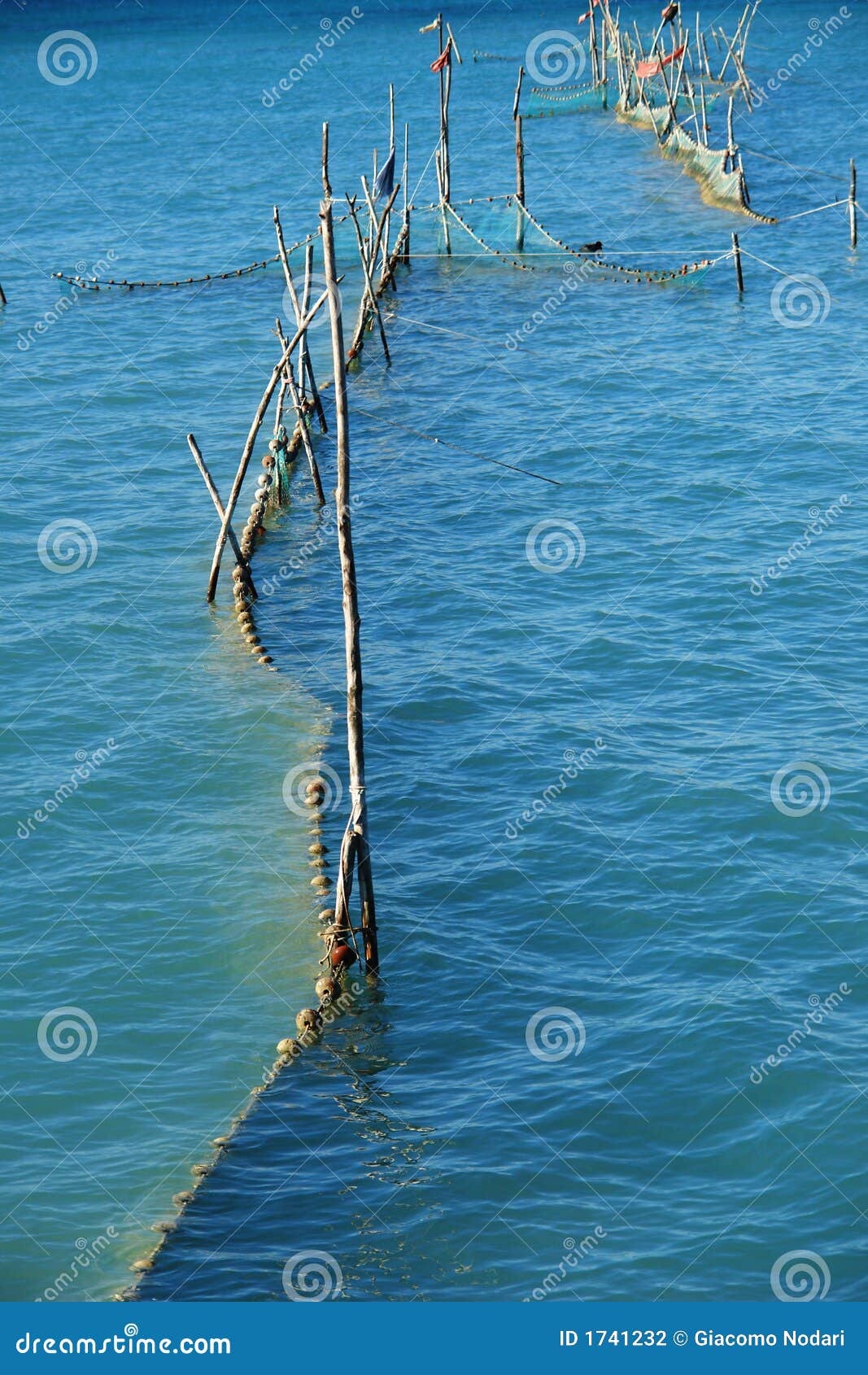 Nets stock photo. Image of built, mesh, catch, rope, taly - 1741232