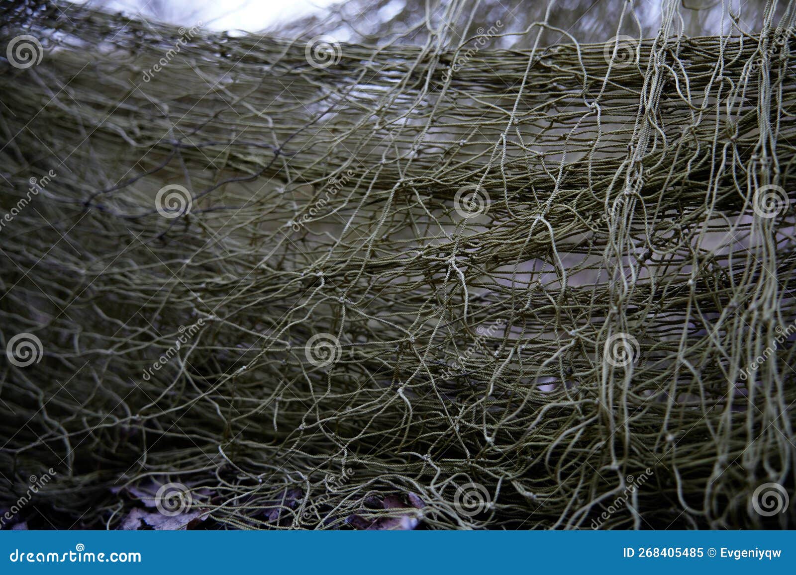 Nets for Catching Wild Animals in the Forest. Trapping Game Animals ...