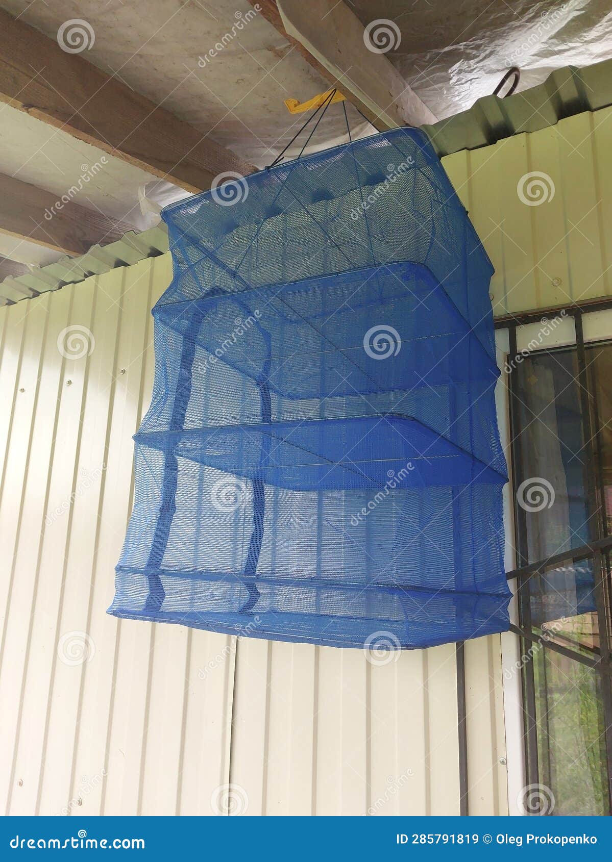 Nets for Drying Fish, Mushrooms and Fruits Stock Image - Image of ...