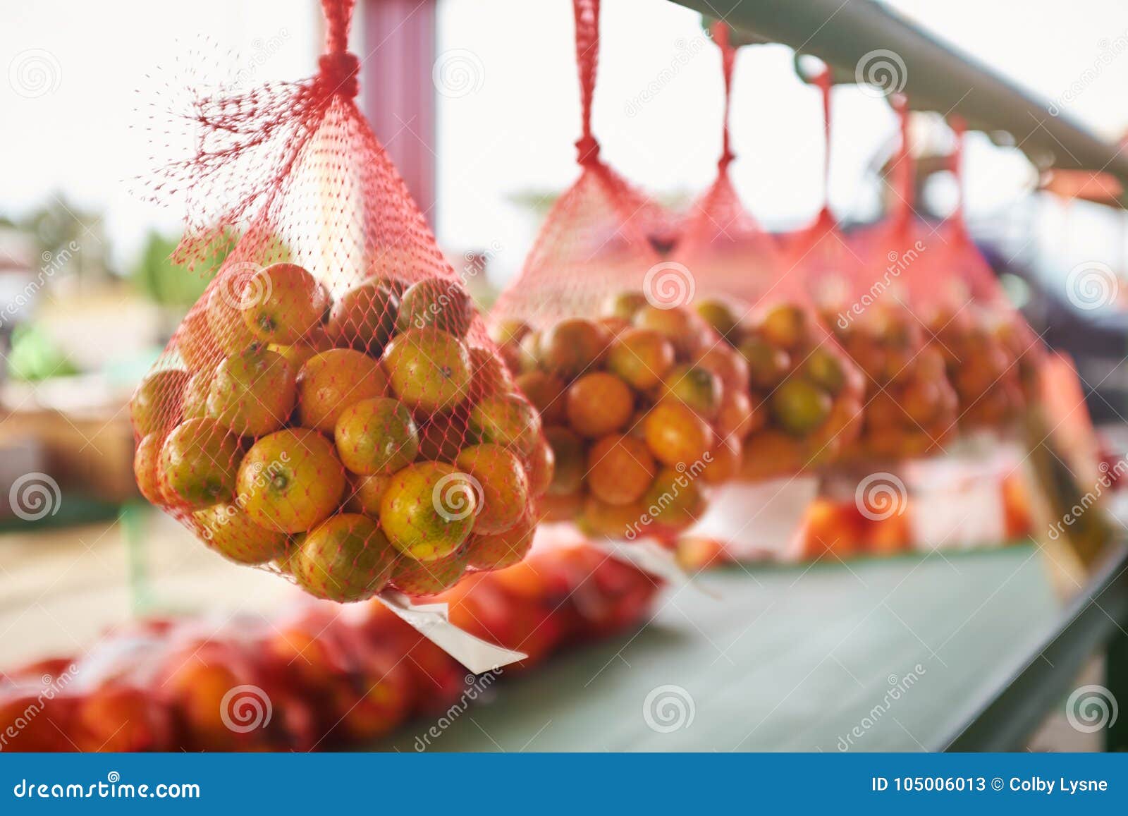 Nets with Oranges Hanging in Row Stock Image - Image of cultivation ...