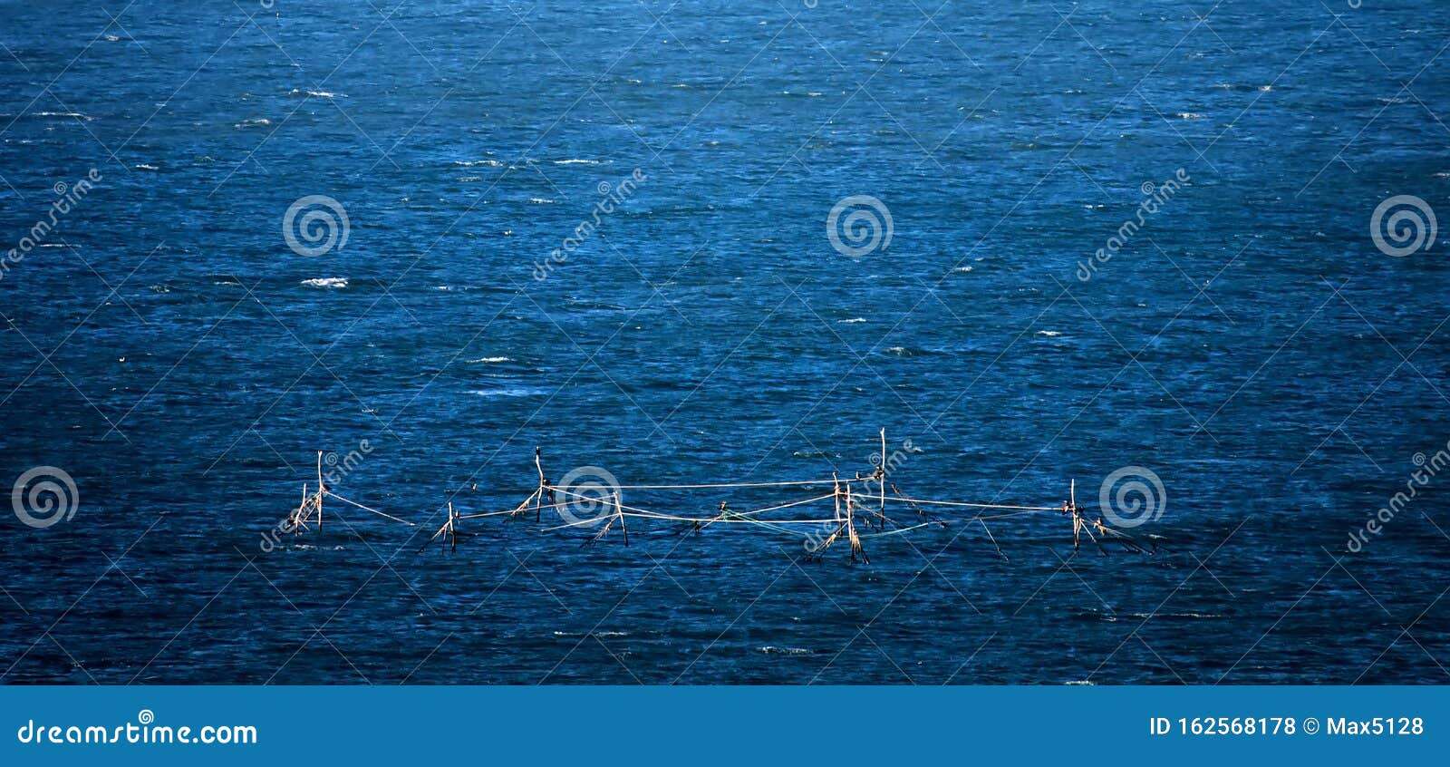 The nets in the sea stock photo. Image of gear, gillnet - 162568178