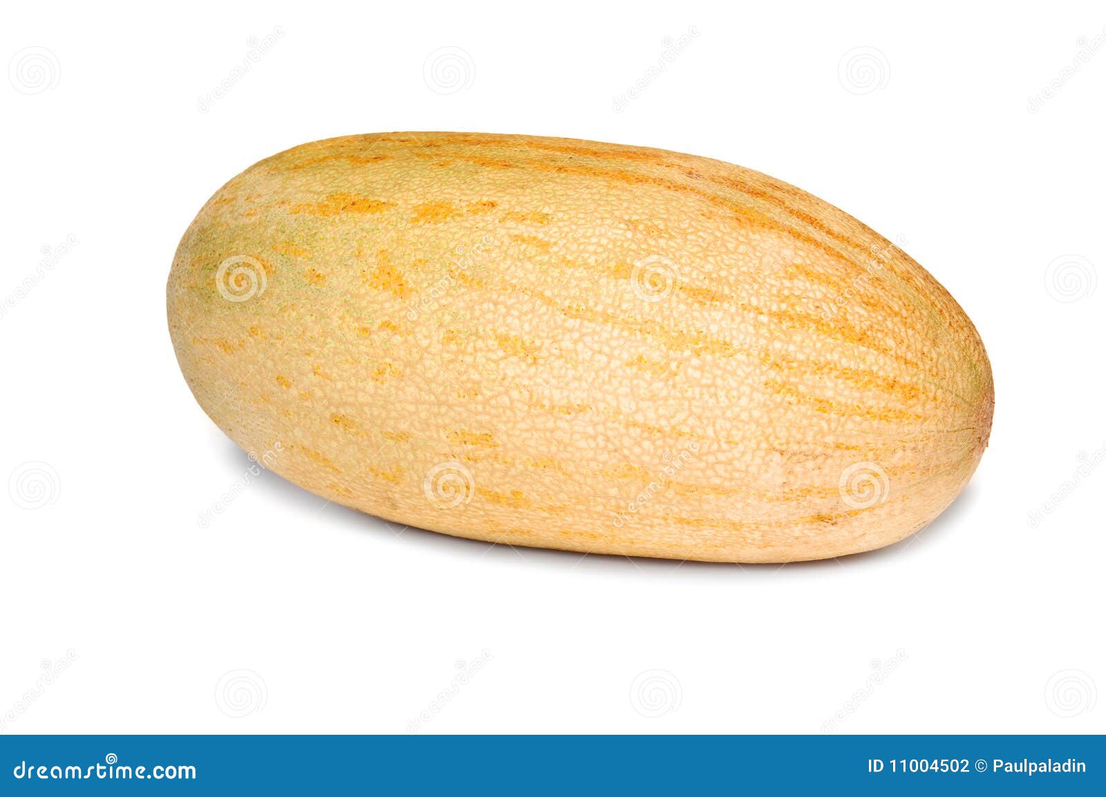 Netted melon stock photo. Image of melon, white, yellow - 11004502