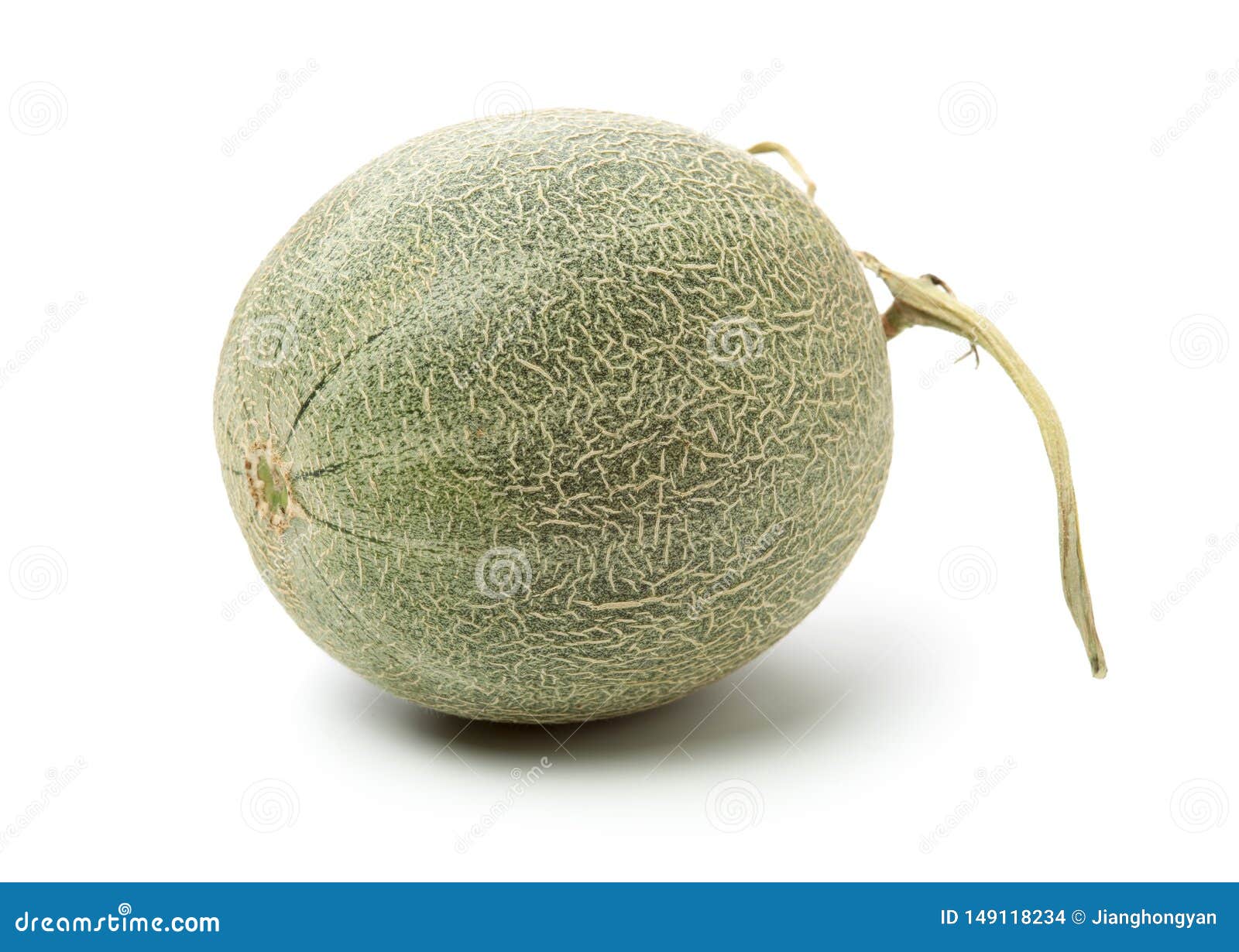 Netted melon stock photo. Image of green, meat, andes - 149118234
