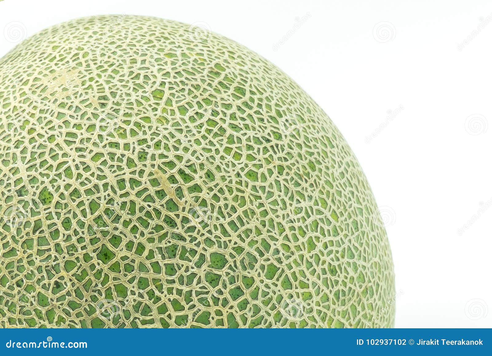 Netted Melon Skin Close Up Background. Stock Photo - Image of food ...