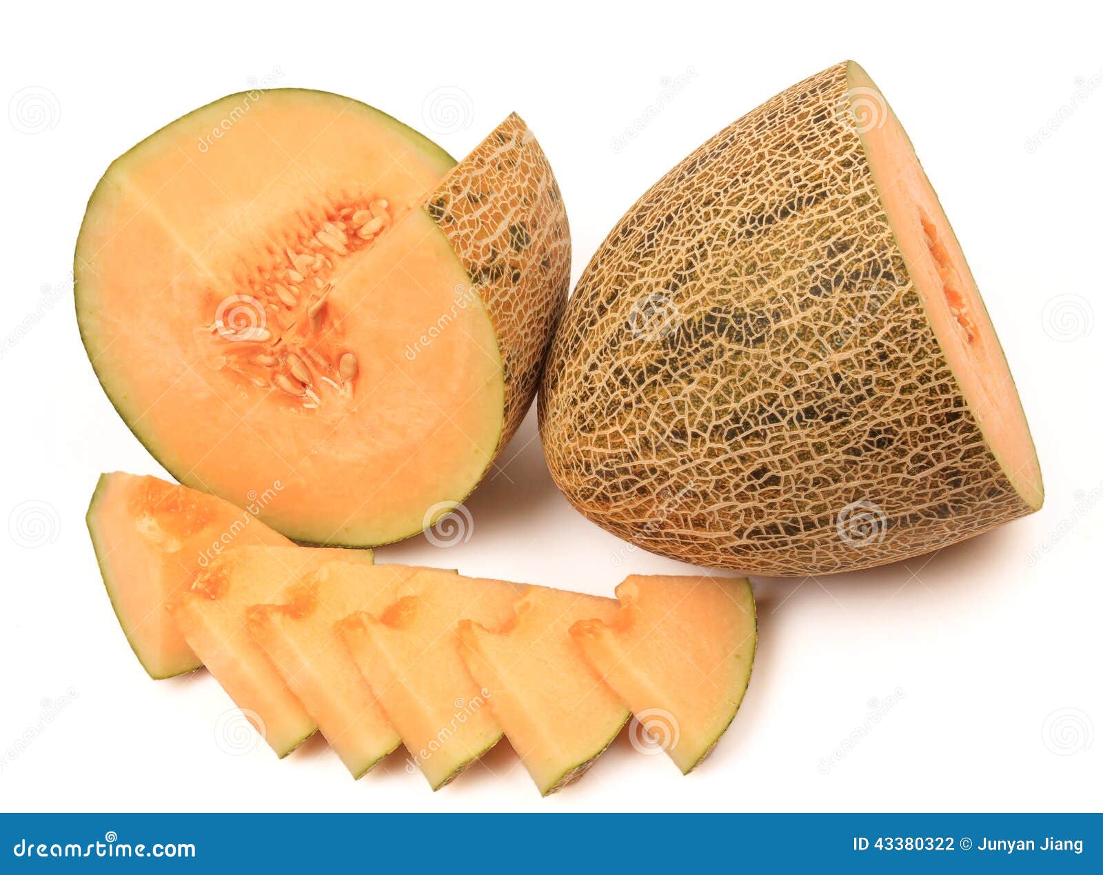 Netted melon stock photo. Image of bright, fresh, cantalope - 43380322