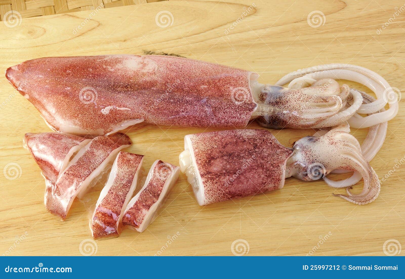 Netter frischer Kalmar stockfoto. Bild von braun, leben - 25997212