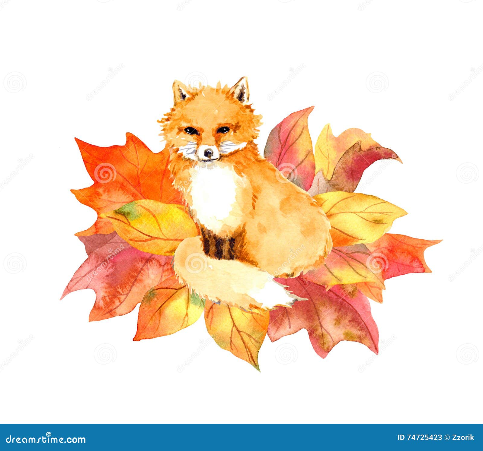 Netter Fuchs Im Herbstlaub Watercolor Stockbild - Bild von gemalt ...