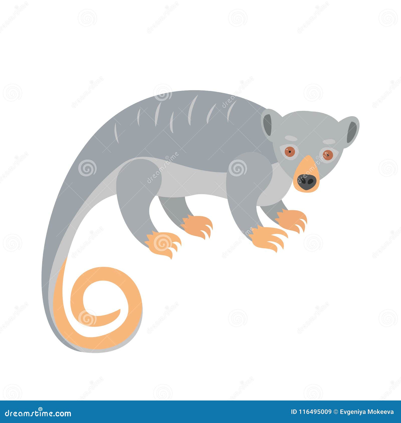 Nettes Kuskus Auf Weißem Hintergrund Vektor Abbildung - Illustration ...