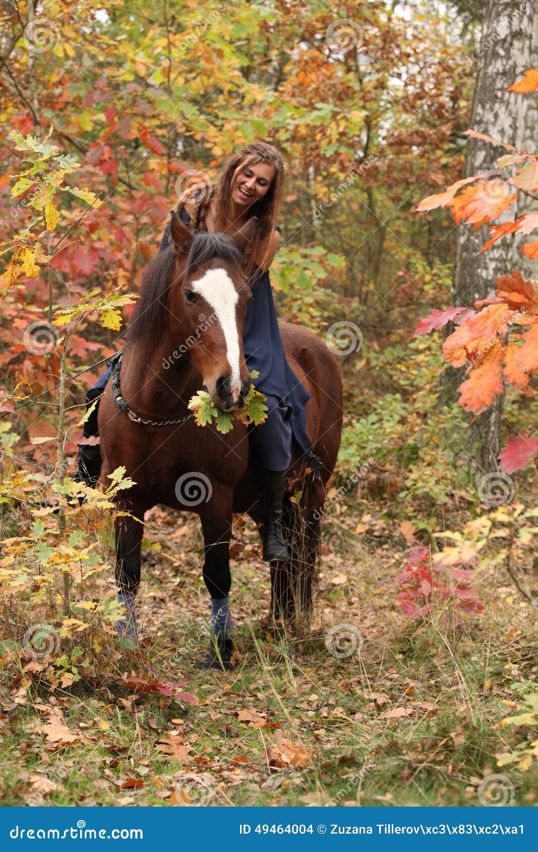 Nettes Mädchen Mit Braunem Pferd Im Herbst Stockfoto - Bild von ...