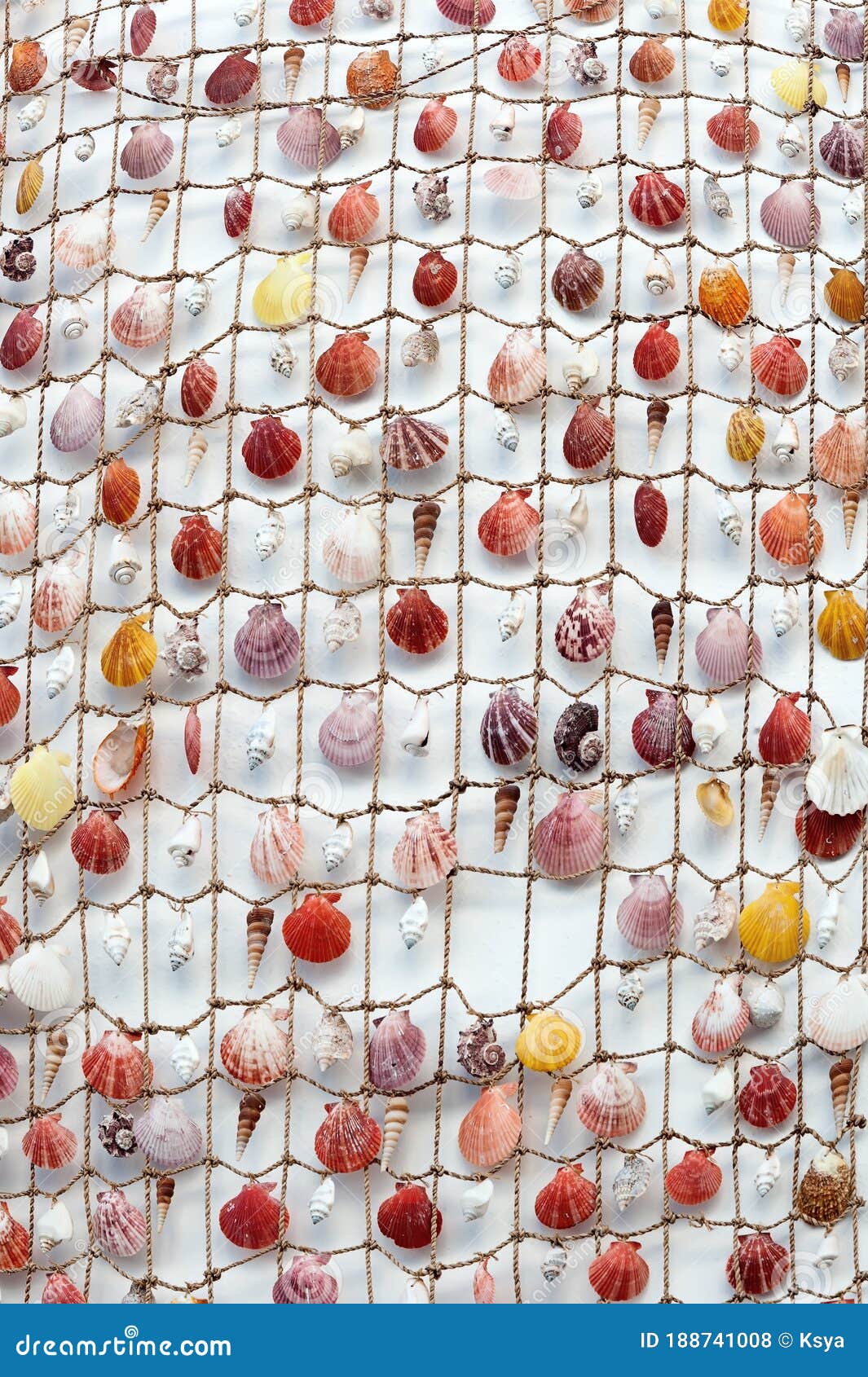 Netting with sea shells stock photo. Image of mykonos - 188741008
