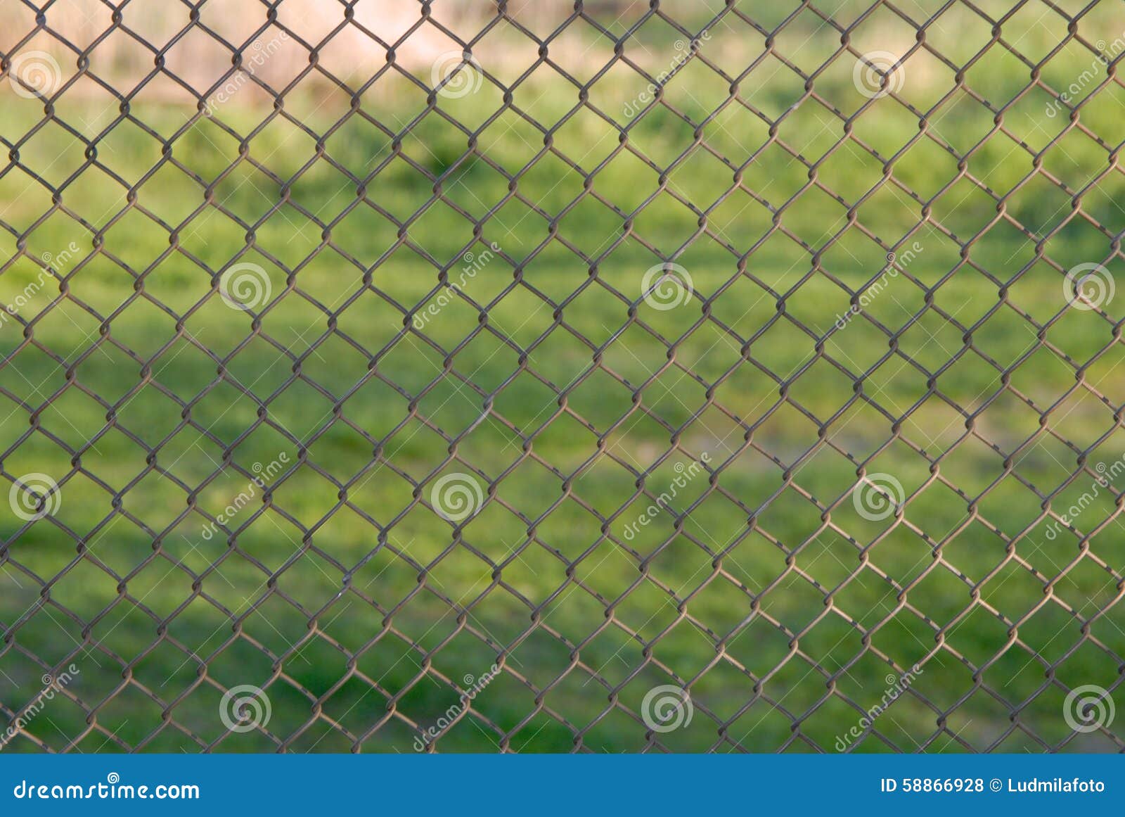 Netting fence stock photo. Image of lattice, mantle, grid - 58866928