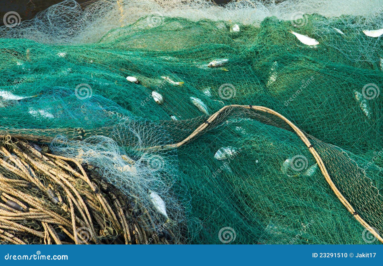 Netting fish stock photo. Image of detail, network, fabric - 23291510