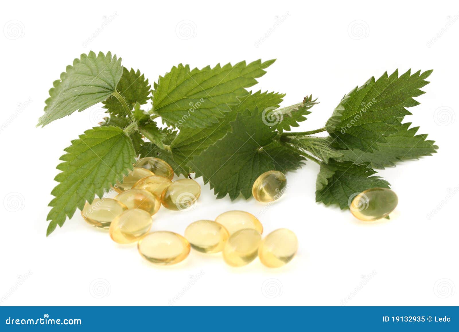 Nettle capsules stock image. Image of pharma, lecithin - 19132935