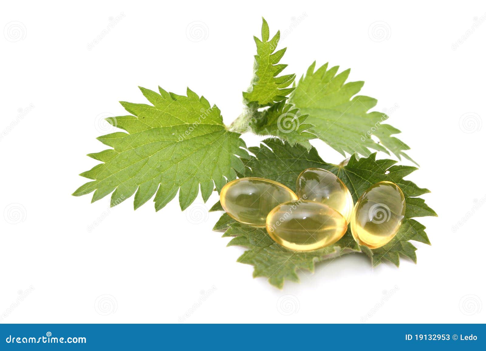 Nettle capsules stock image. Image of fitness, bone, chemistry - 19132953