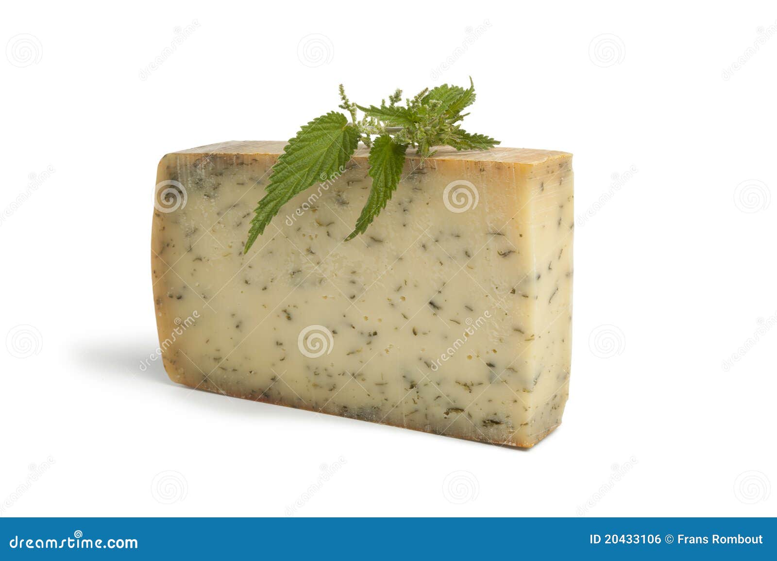 Nettle cheese stock photo. Image of leaves, cheese, nettle - 20433106