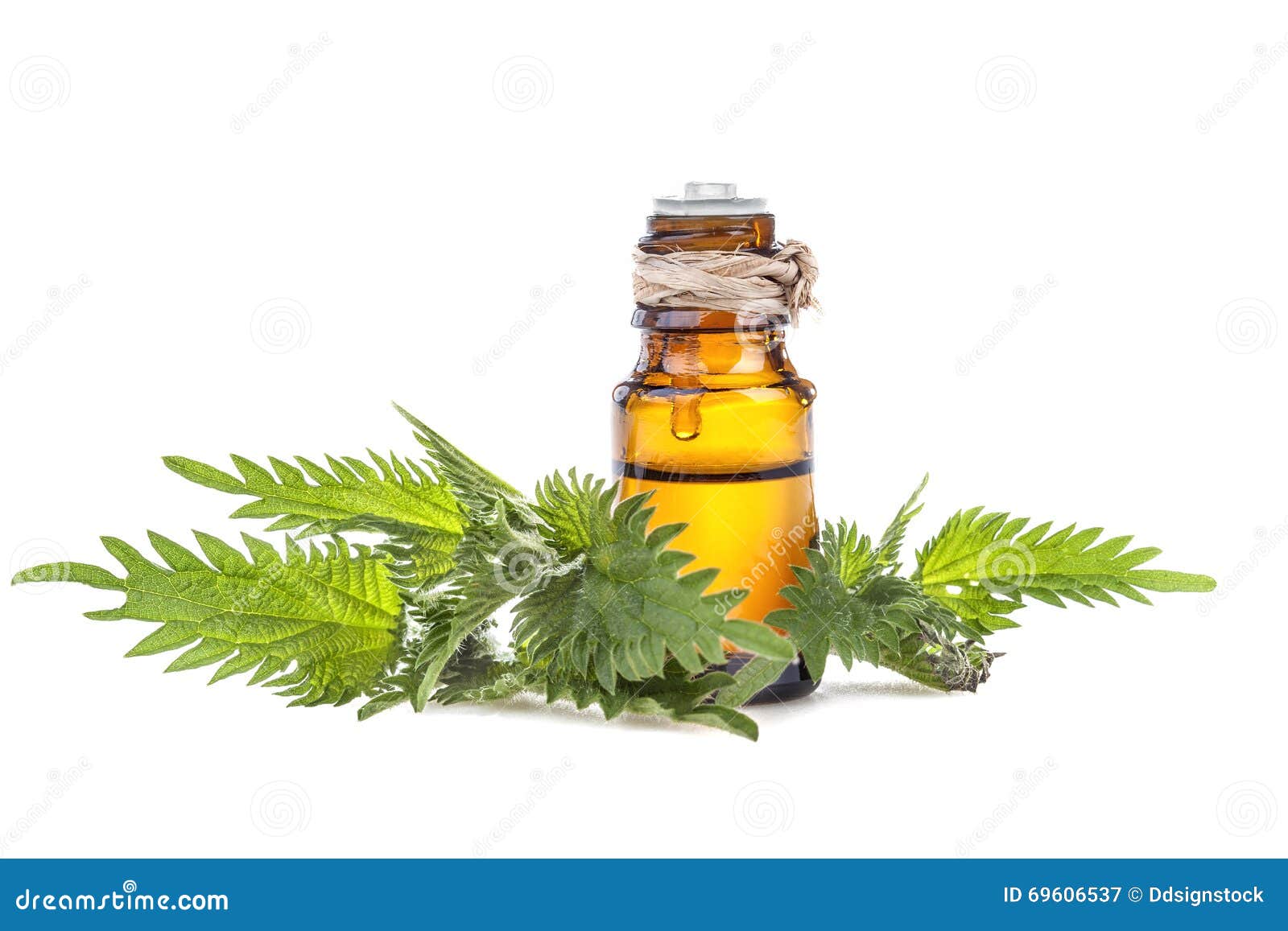 Nettle essential oil stock image. Image of alternative - 69606537