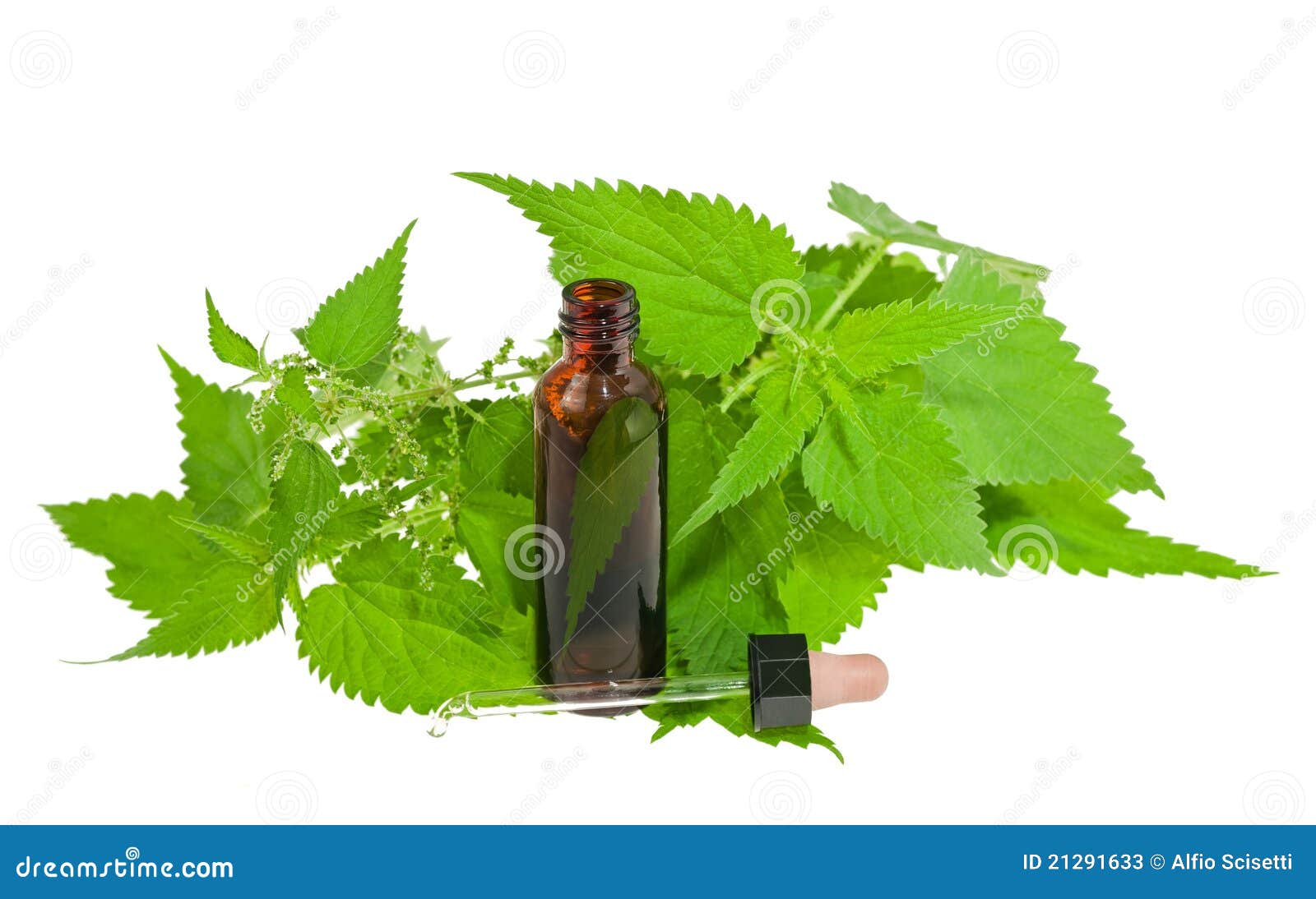 Nettle extract stock image. Image of stinging, herbs - 21291633