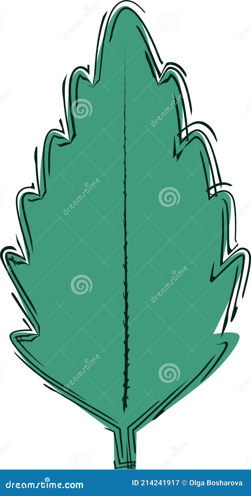 Nettle leaf with outline, stock vector. Illustration of medicine ...