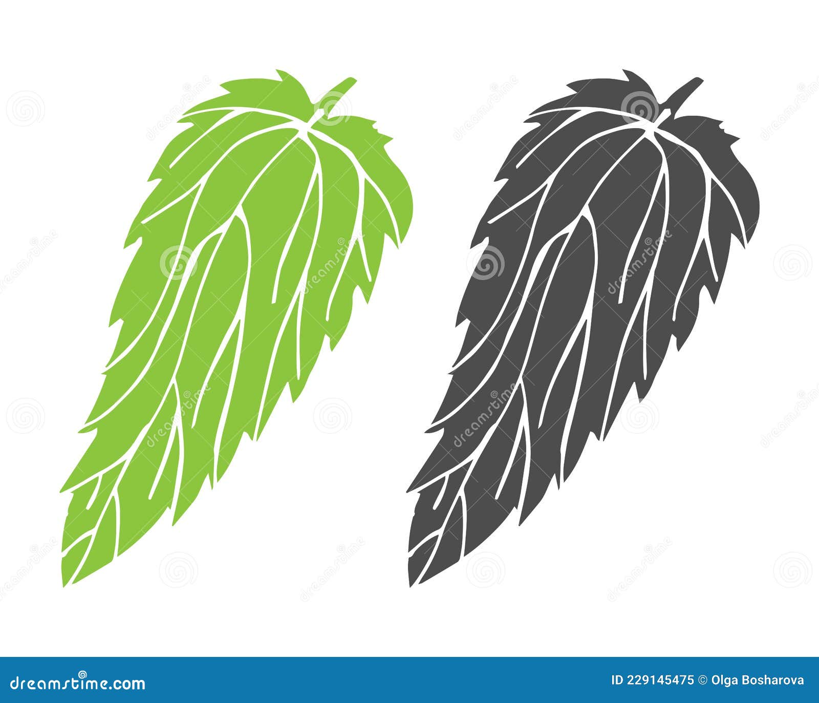Nettle Medicinal Plant Leaf Stock Vector - Illustration of graphic ...
