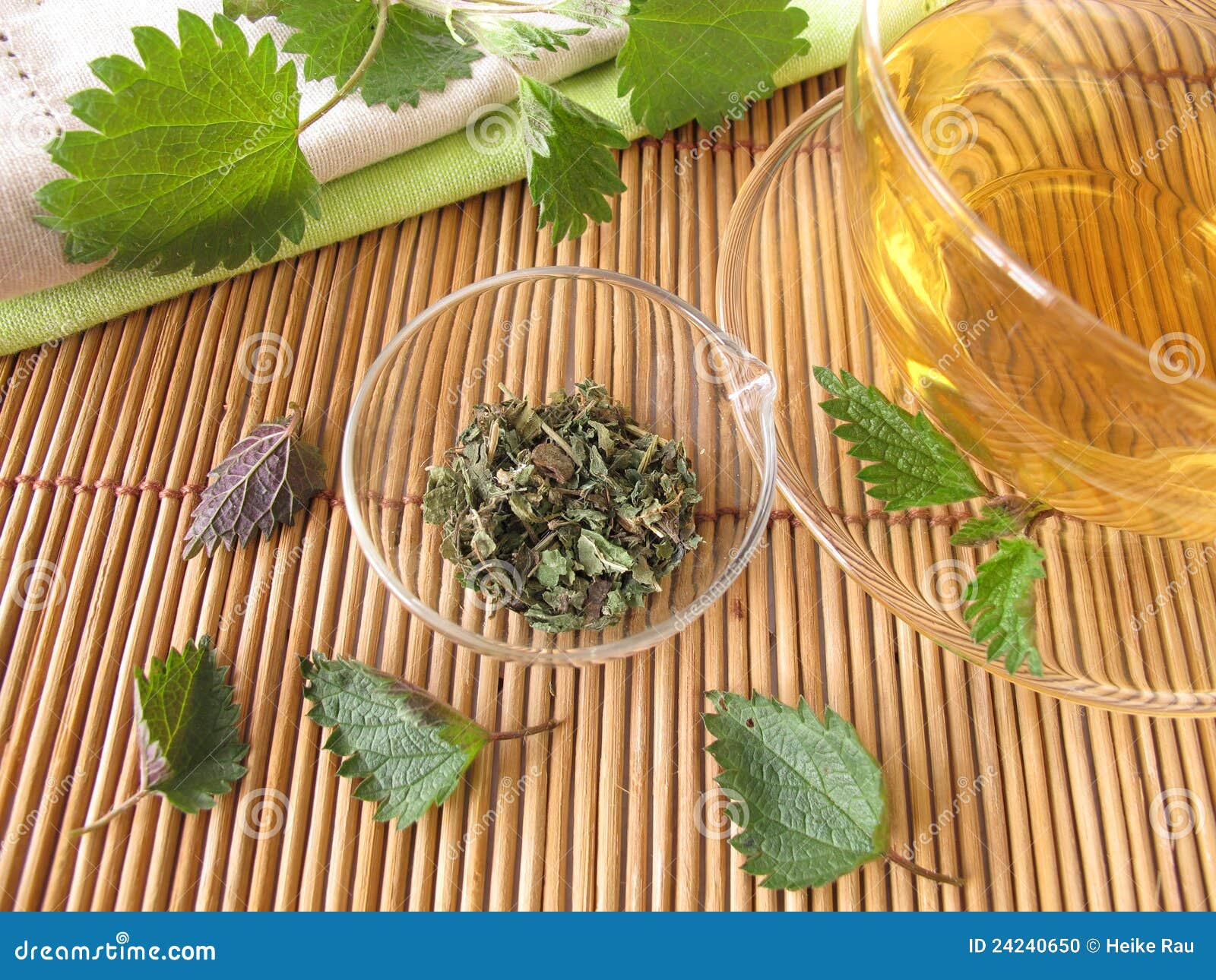 Nettle tea stock photo. Image of dioica, nature, herbal - 24240650