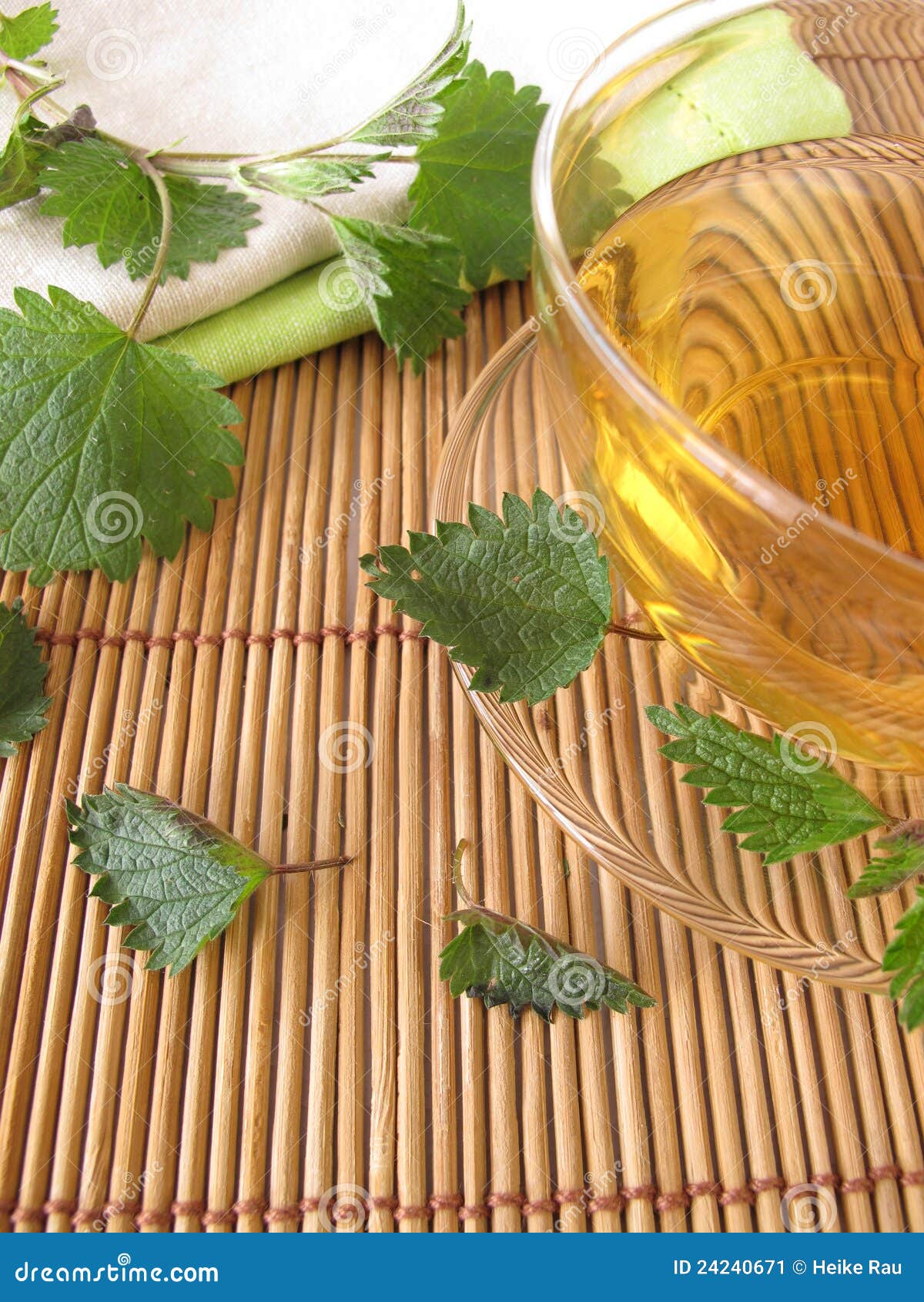 Nettle tea stock image. Image of pharmacy, nettle, power - 24240671