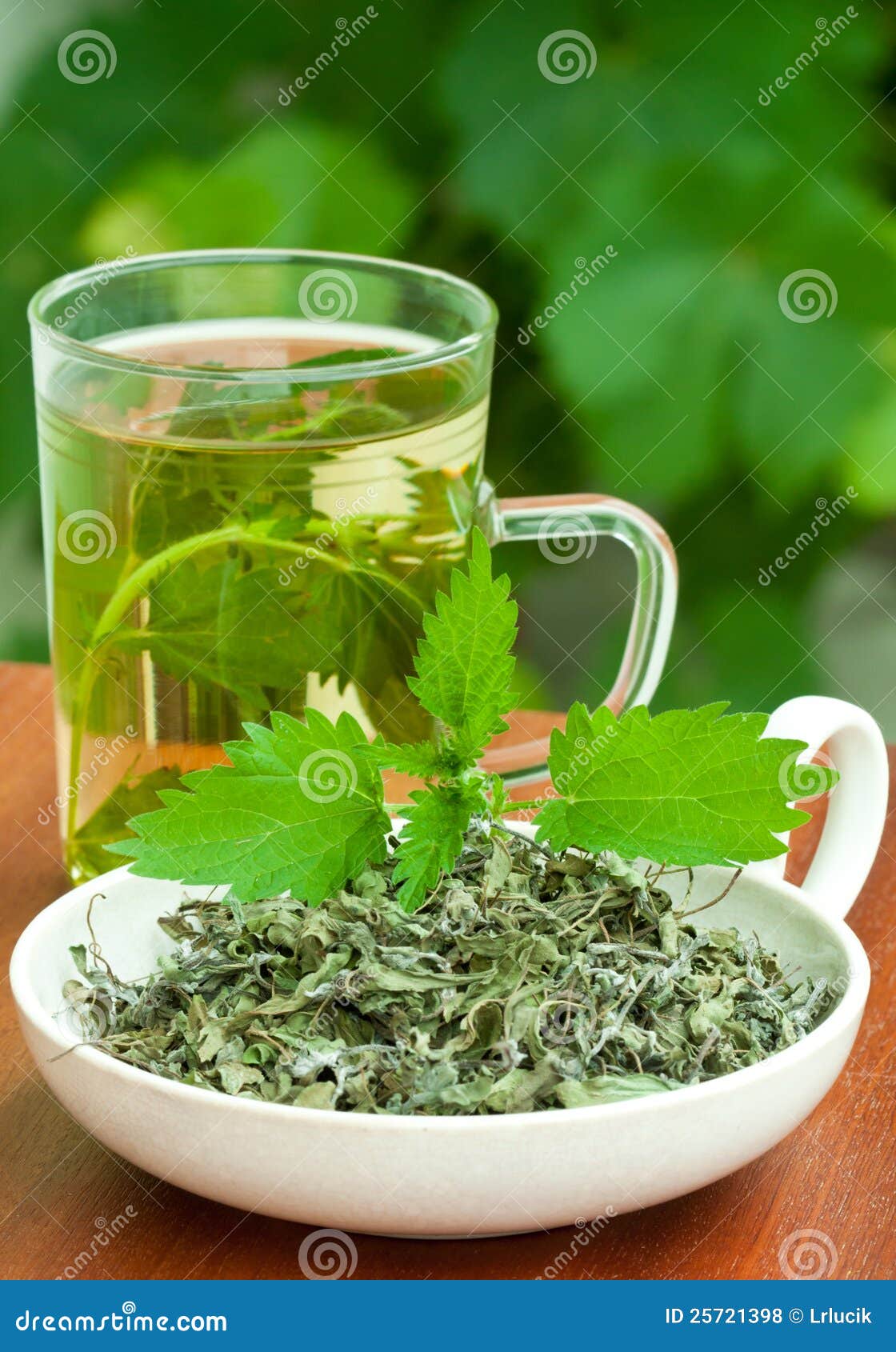 Nettle tea stock photo. Image of leaf, drink, nettle - 25721398