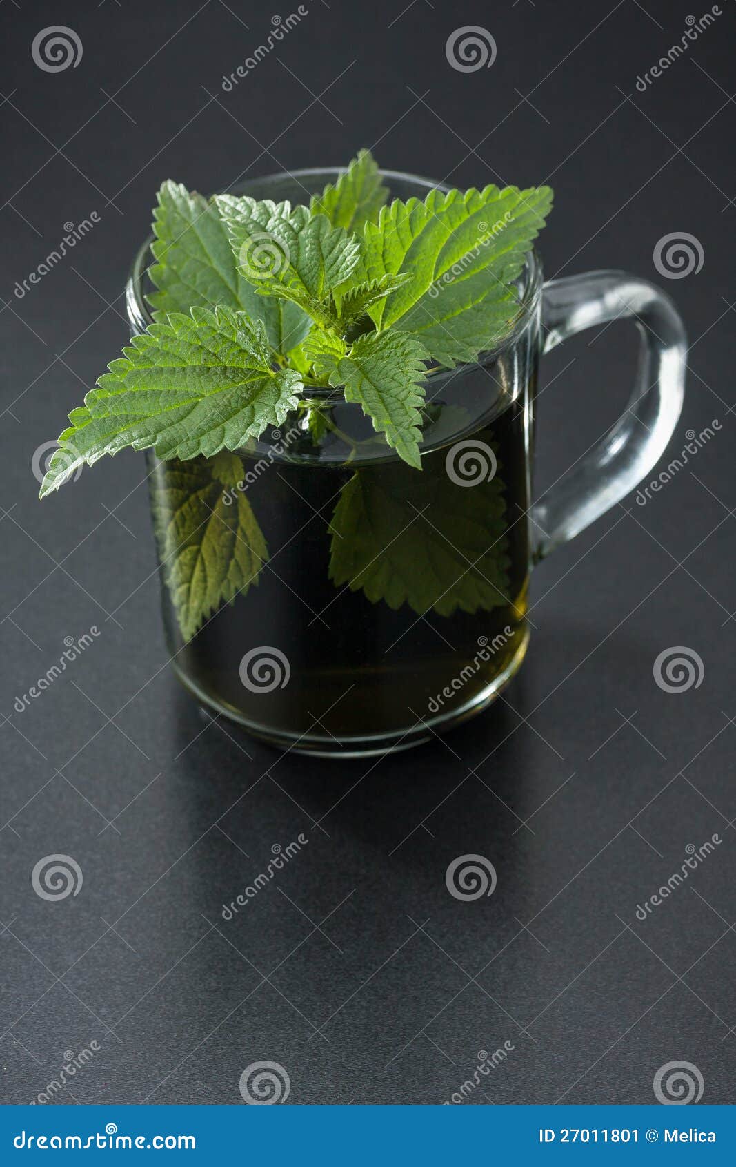 Nettle Tea stock image. Image of green, color, growing - 27011801