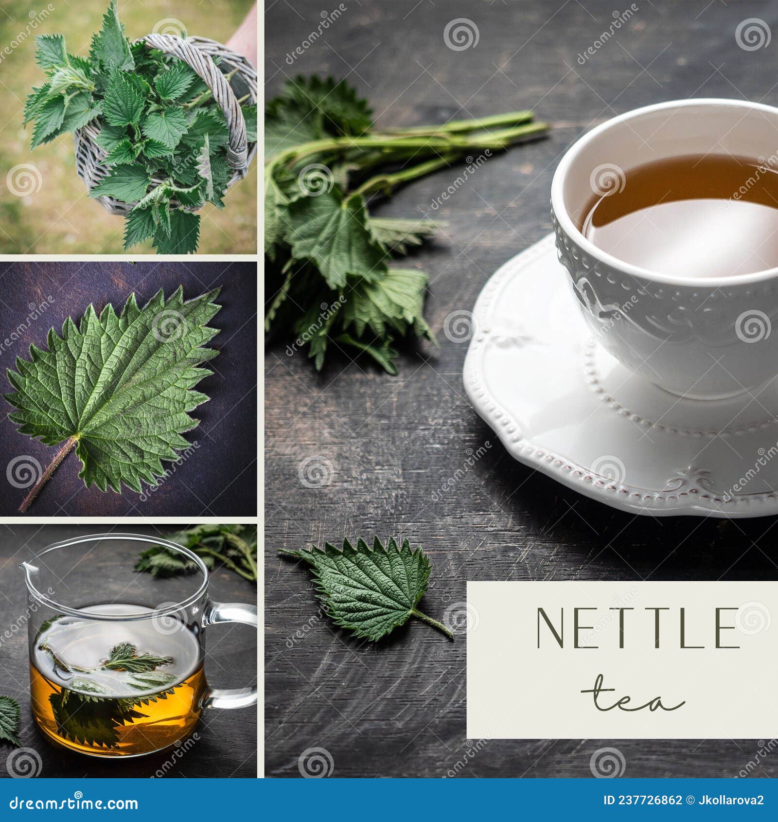 Nettle Tea. Collage of Four Images. Mood Board. Stock Photo - Image of ...