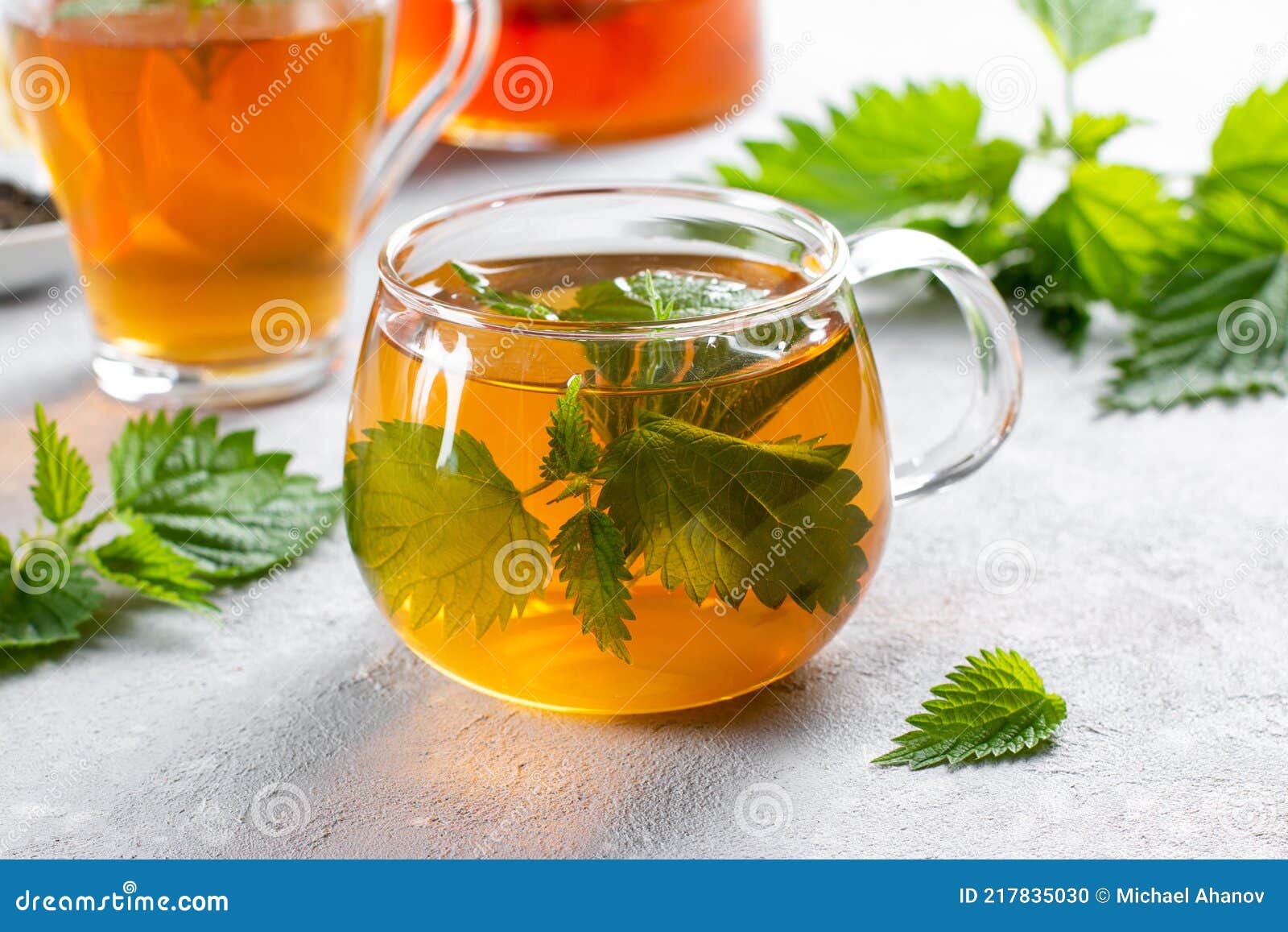 Nettle Tea and Fresh Nettle Leaves. a Cup of Nettle Tea with Fresh ...