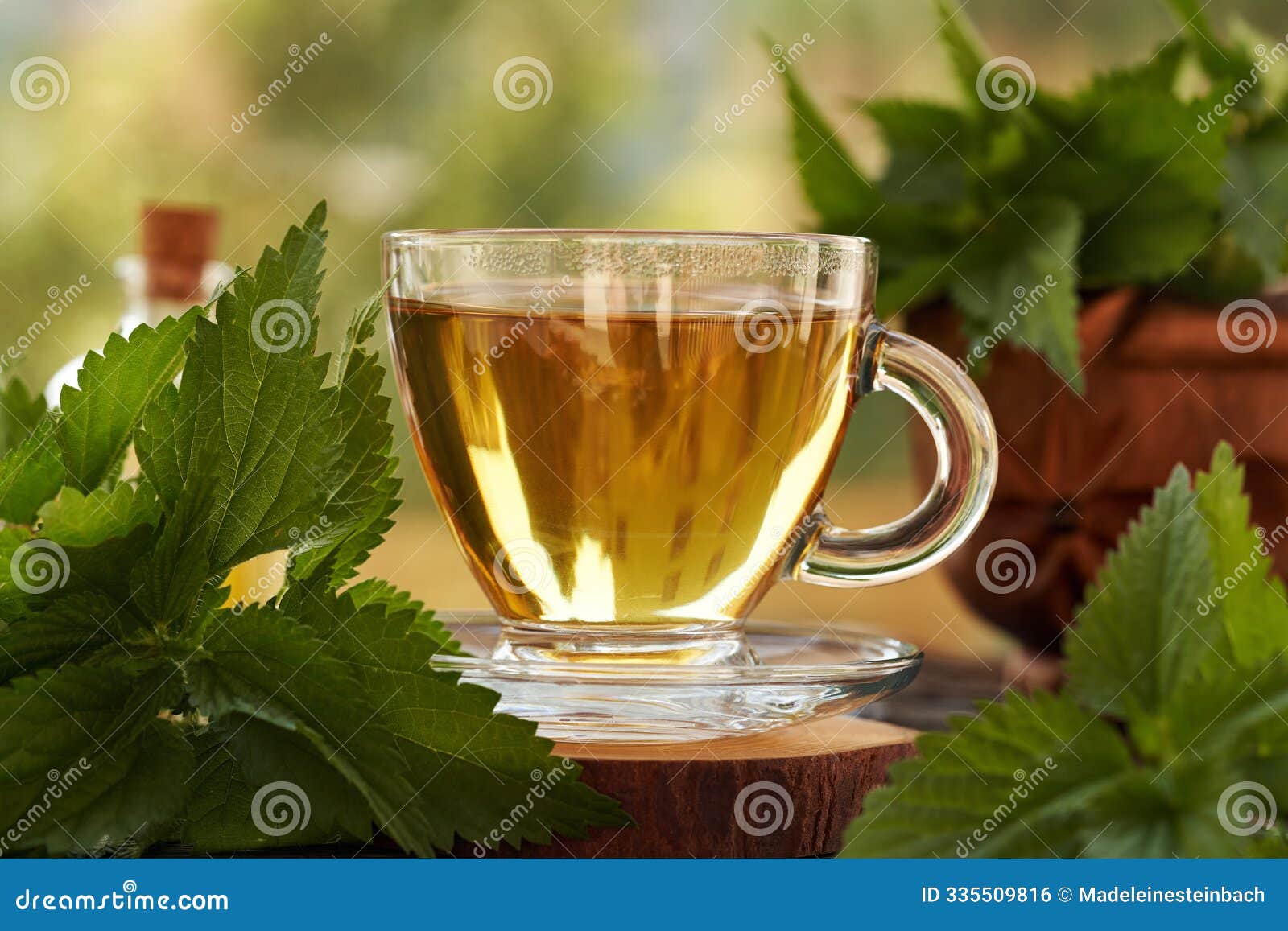 Nettle Tea in a Transparent Glass Cup Stock Photo - Image of spring ...