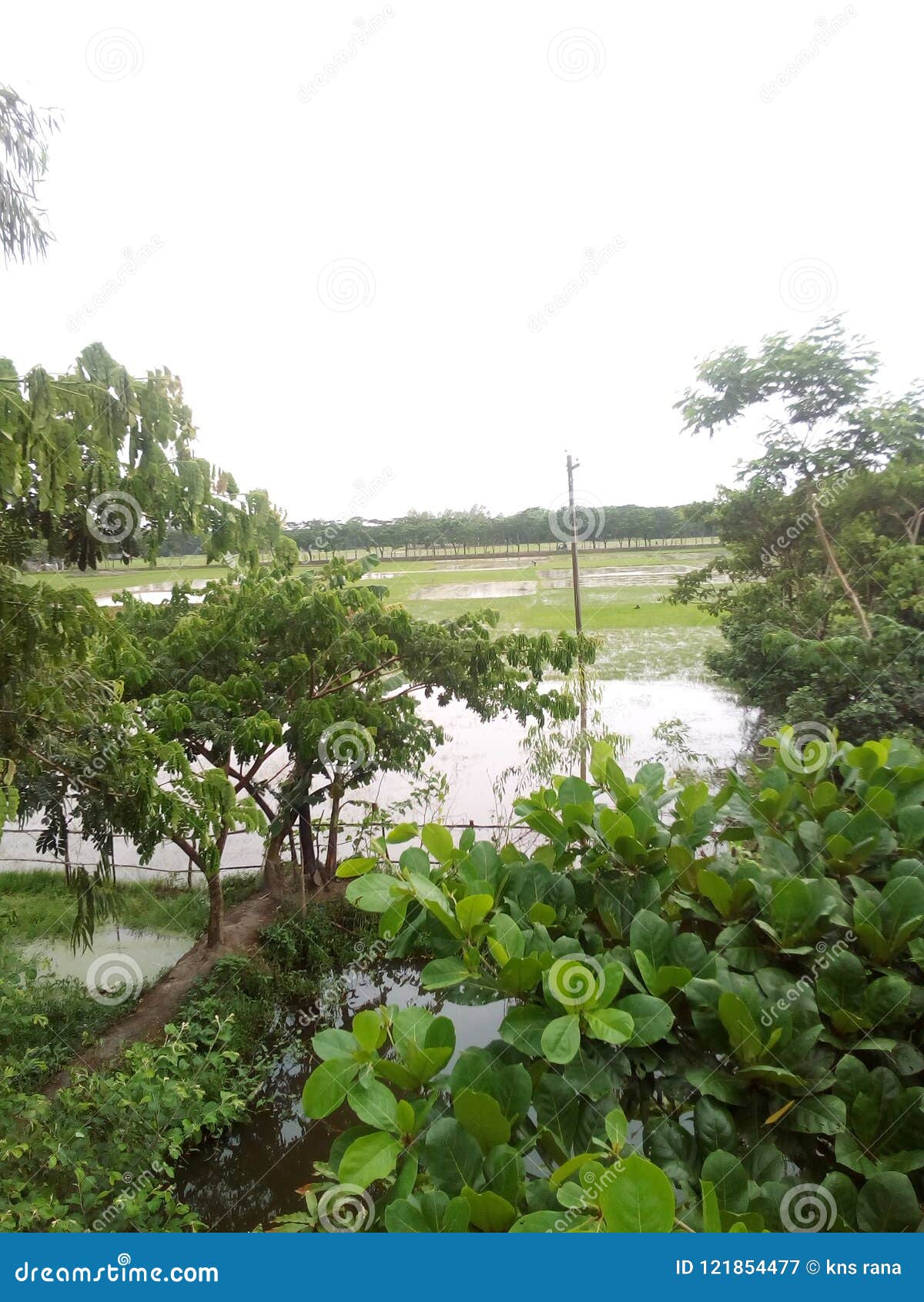 Netural, Bangladesh image stock. Image du bangladesh - 121854477